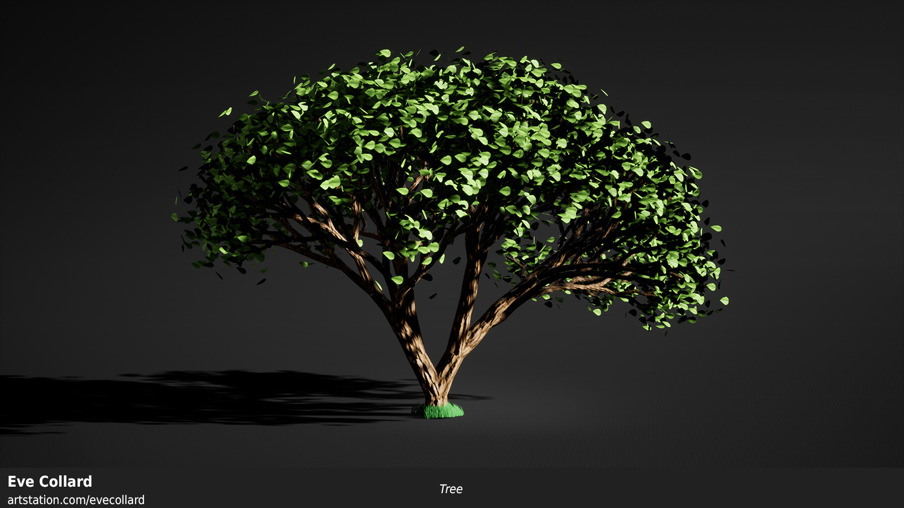 Eve Collard - Tuesday Afternoon