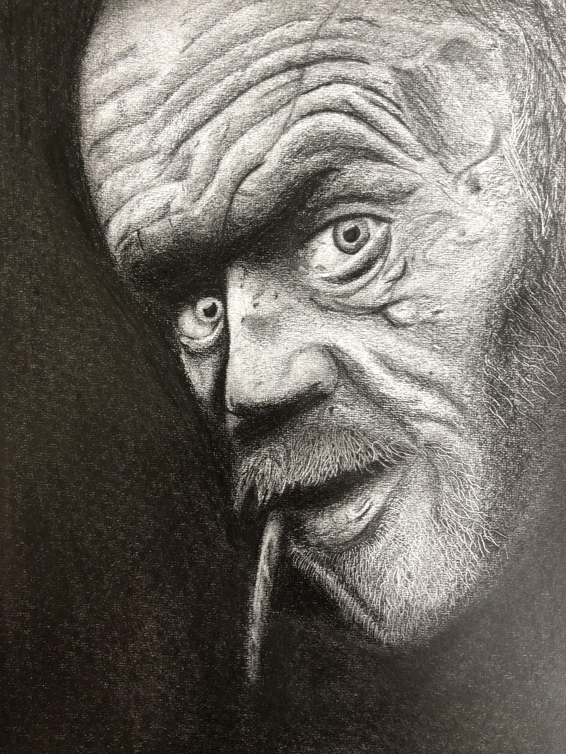 ArtStation - Pencil study