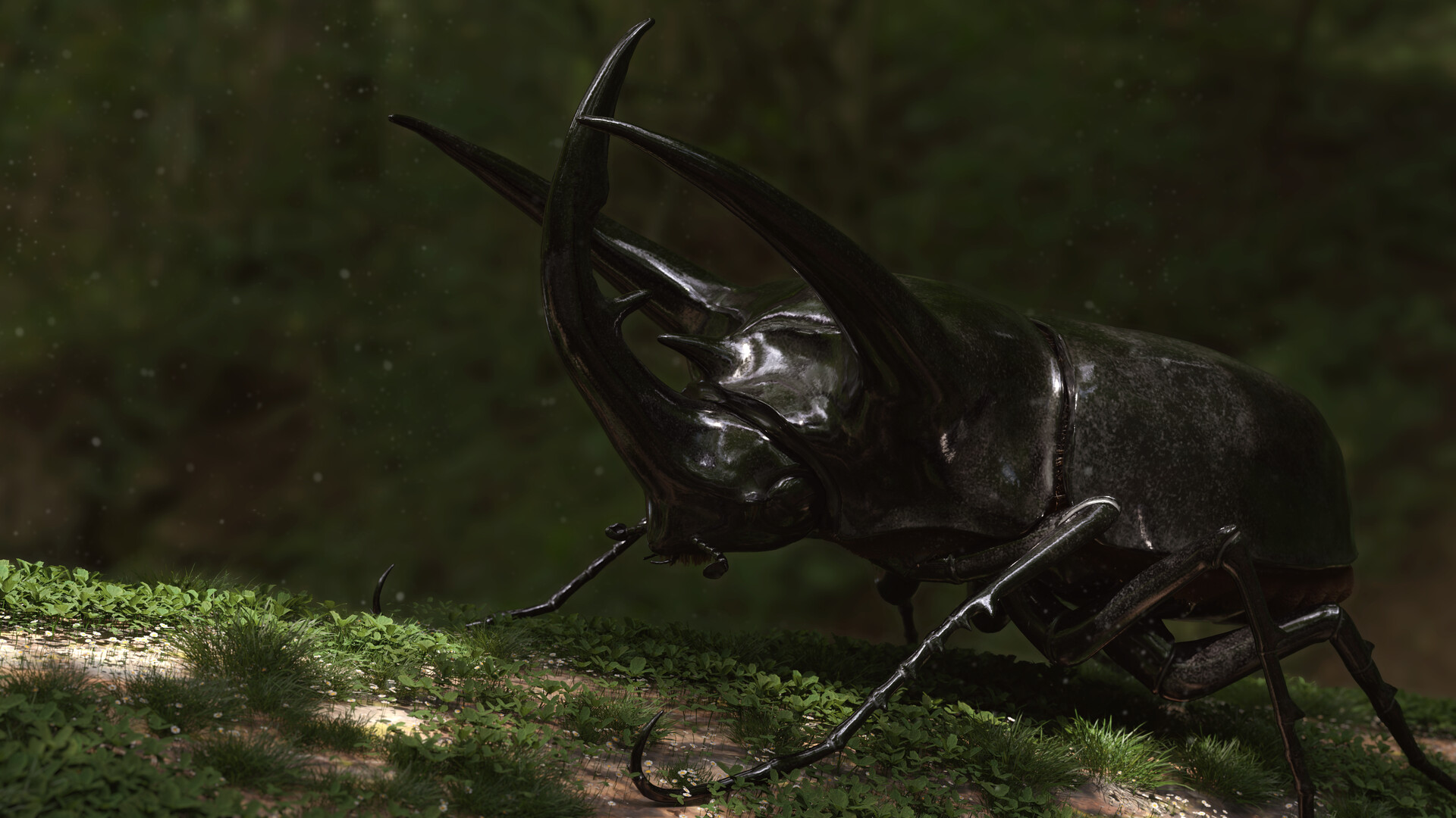 ArtStation - Atlas beetle