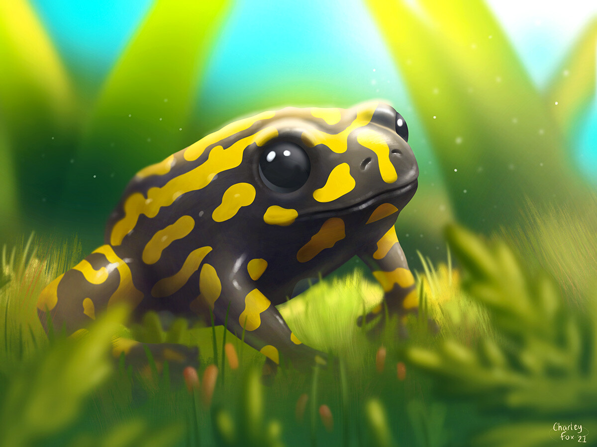 ArtStation - Corroboree Frog