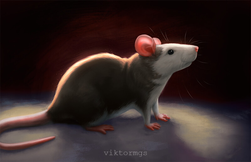 ArtStation - Rat