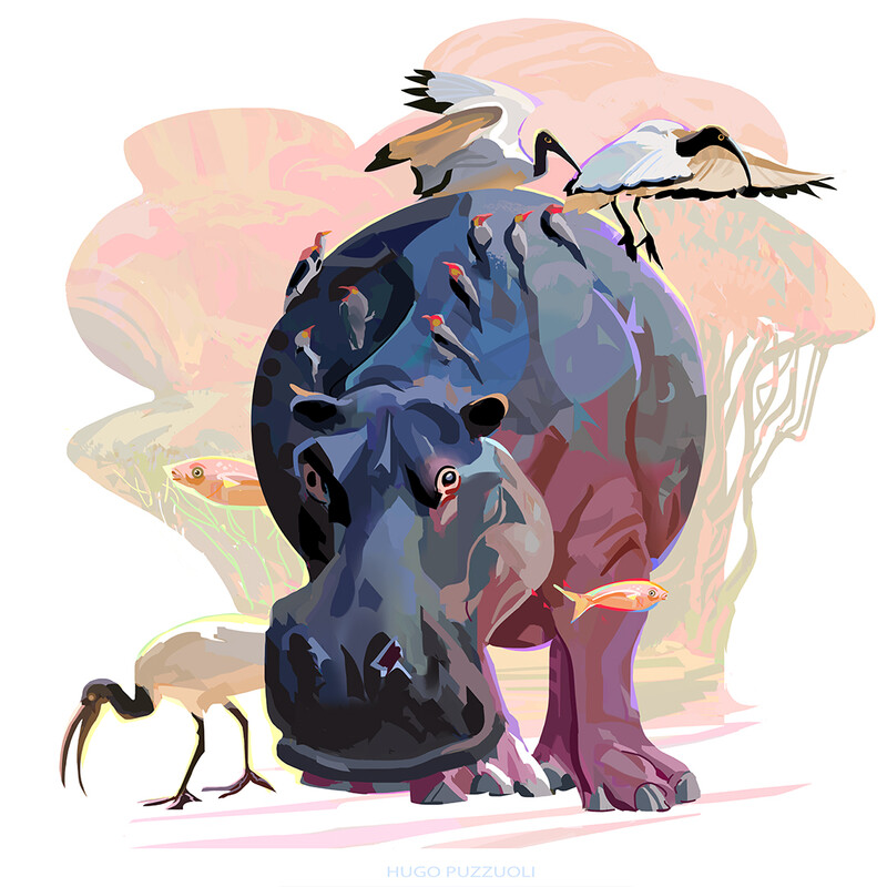 Hugo Puzzuoli - Portfolio