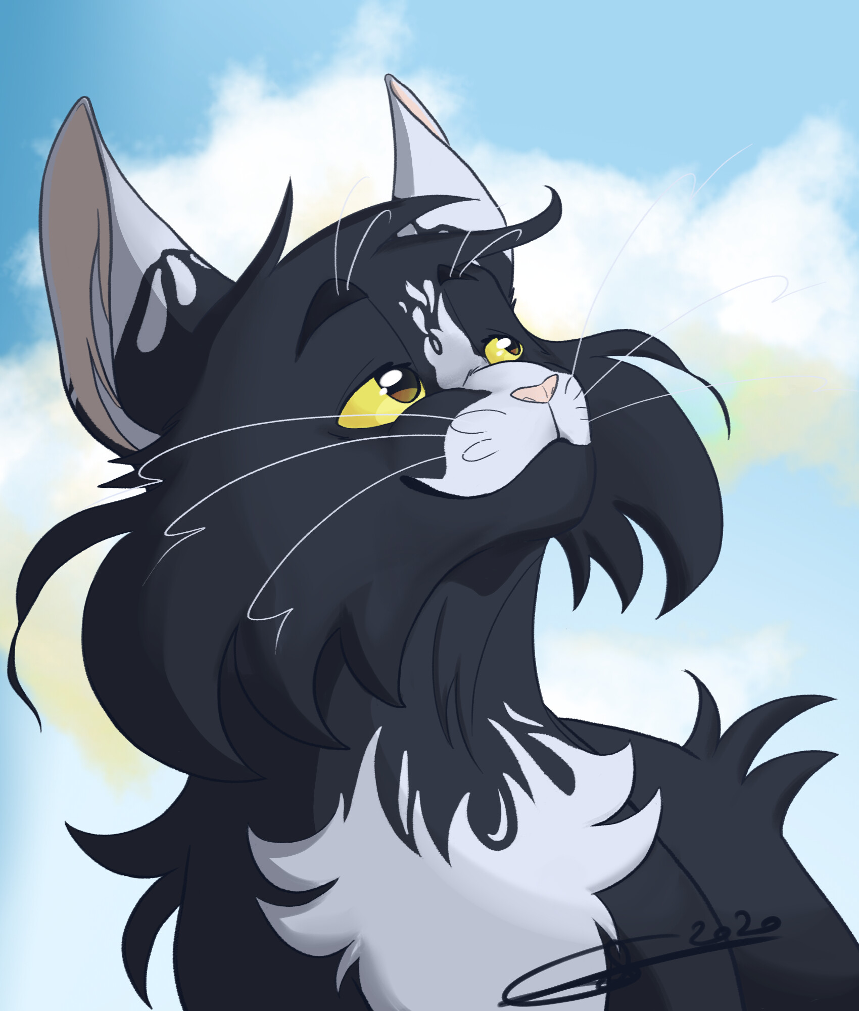 Axelle Arany - Des années de chats (Warriors Cats)