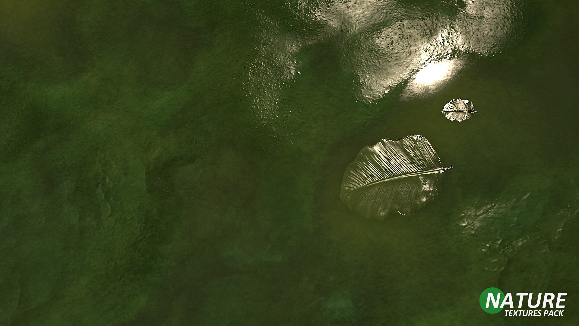 - R33K - - SWAMP TEXTURE