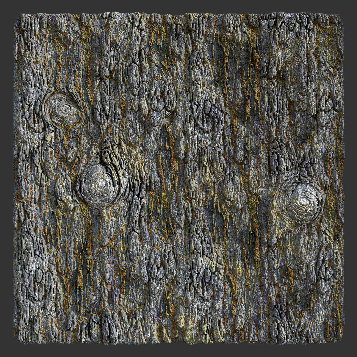 TextureCan - Tree Bark Texture