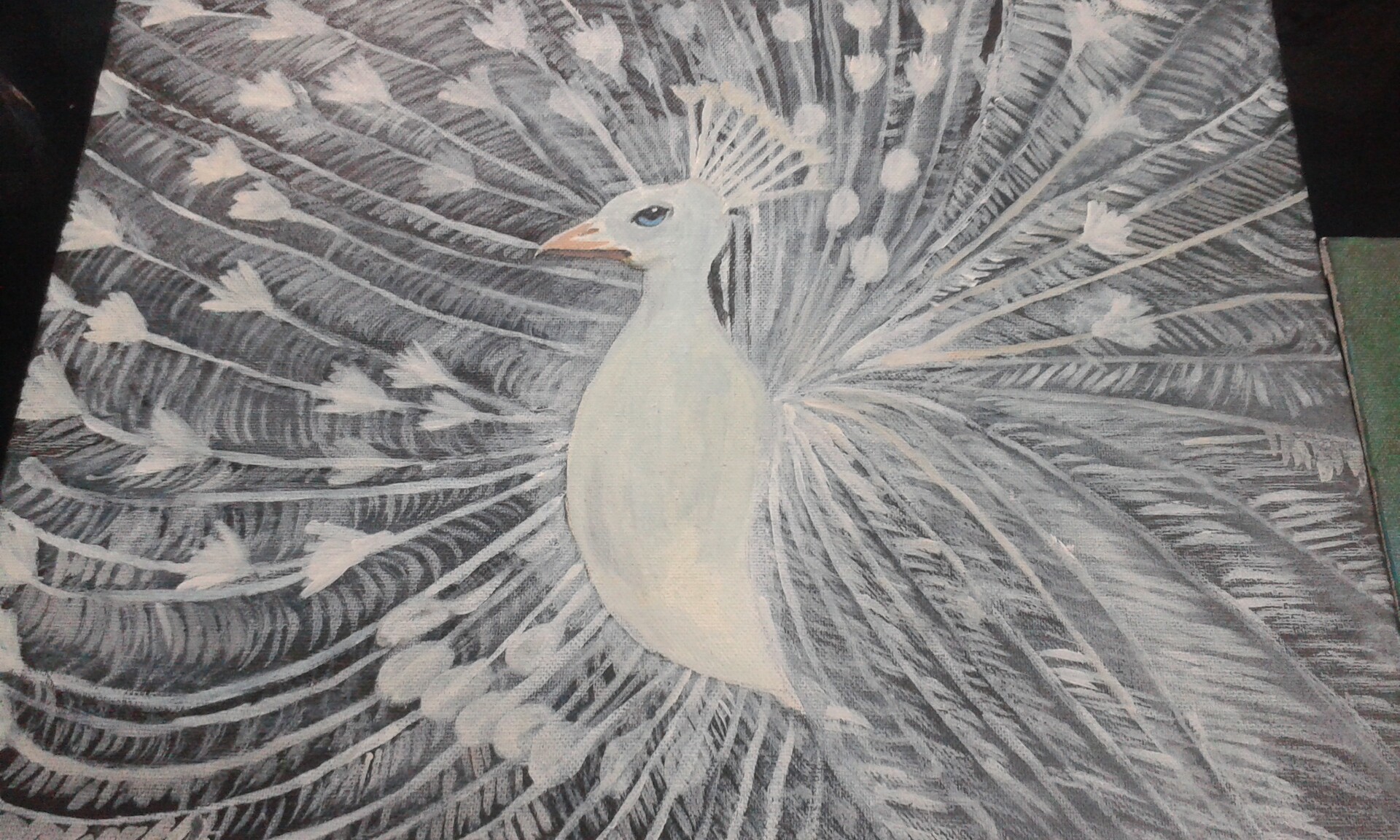 ArtStation - White peacock