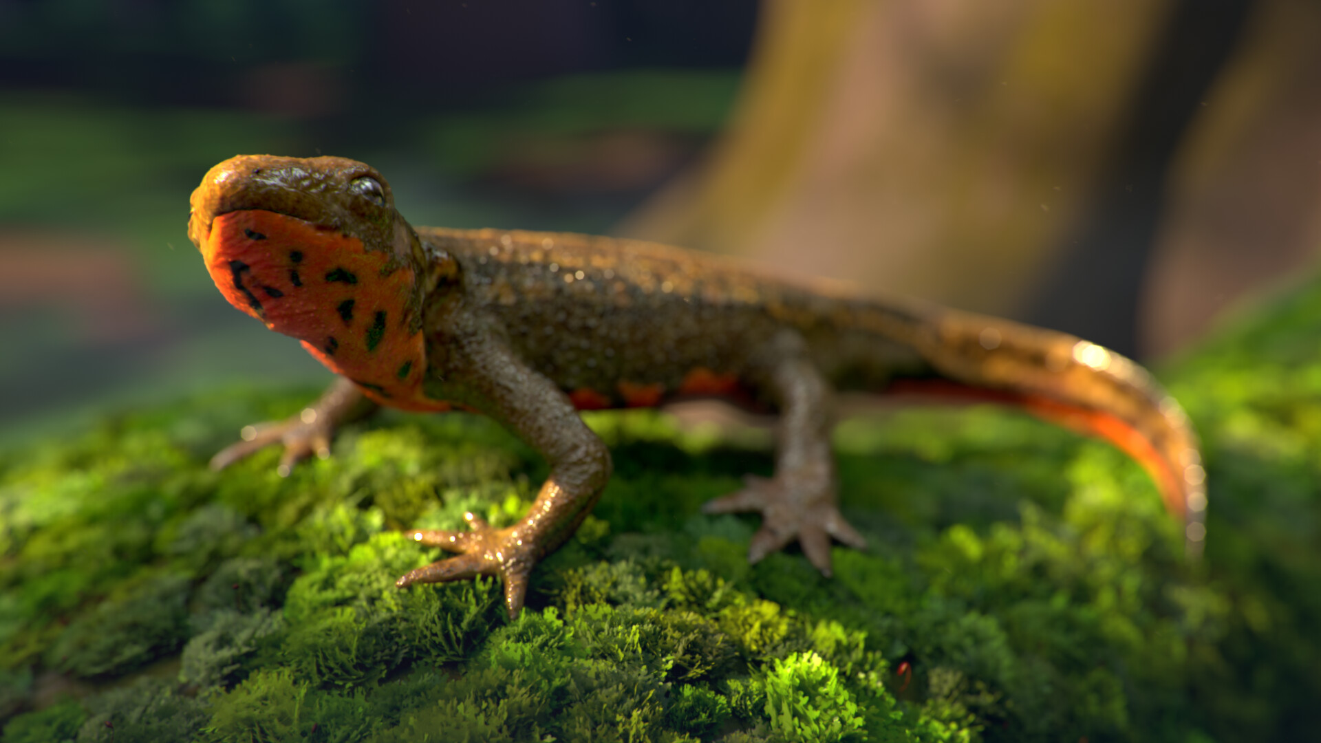 ArtStation - 2nd year - Insect / amphibian