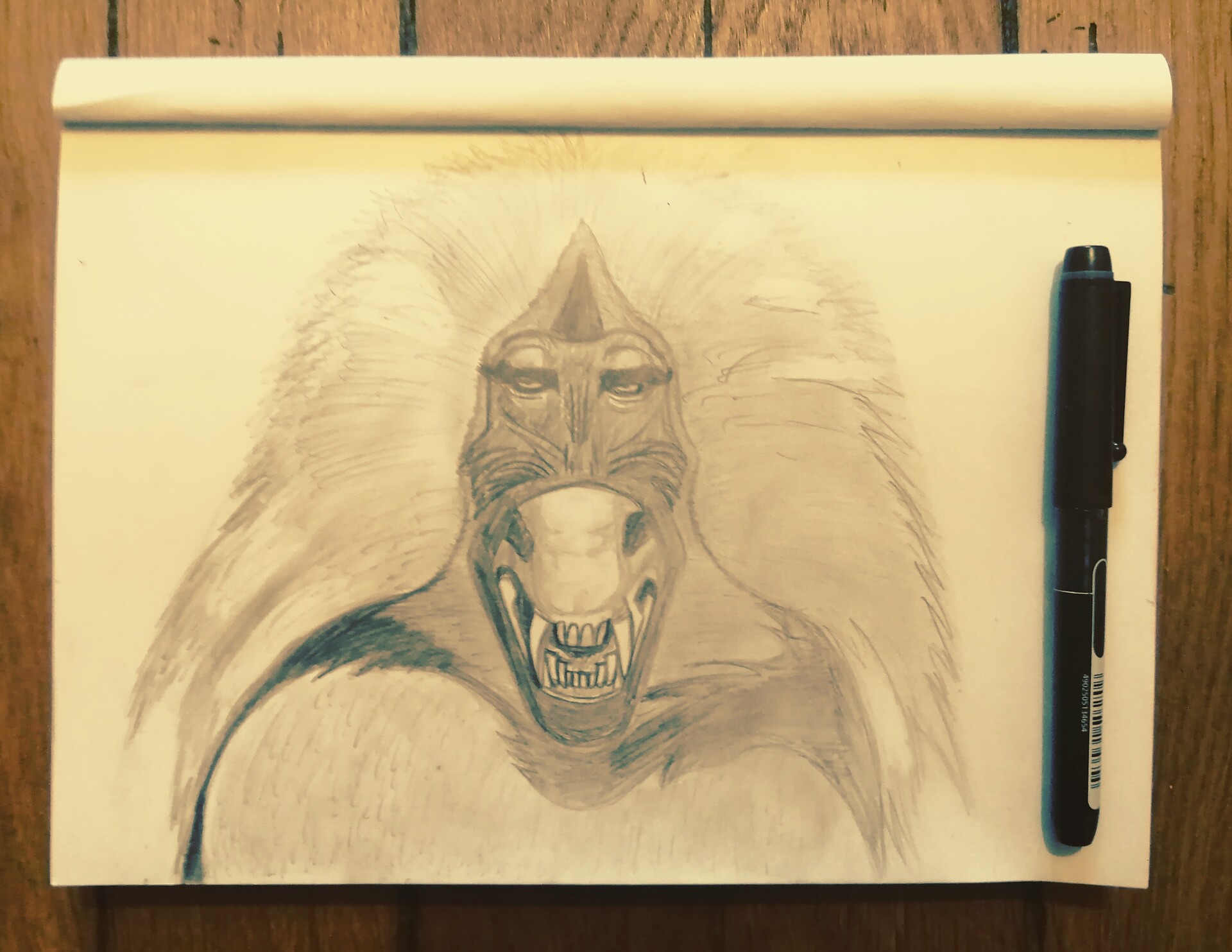 angry baboon drawing