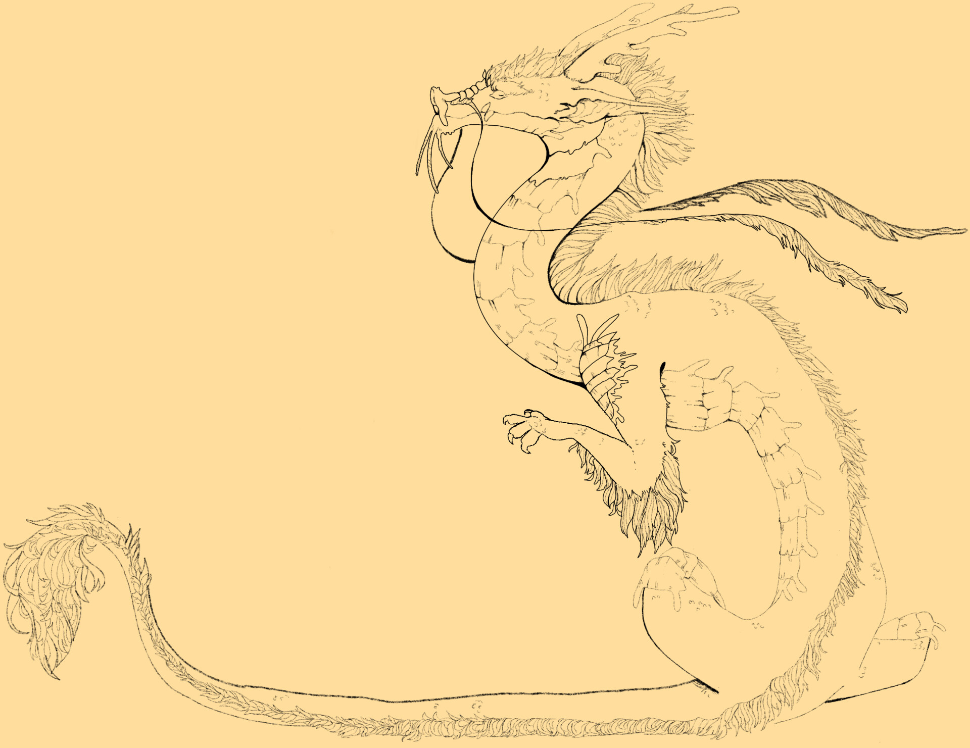 how to draw noodle dragons