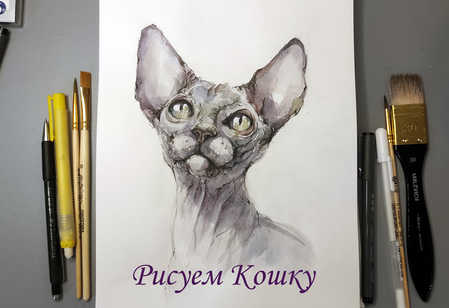 ArtStation - Draw a cat