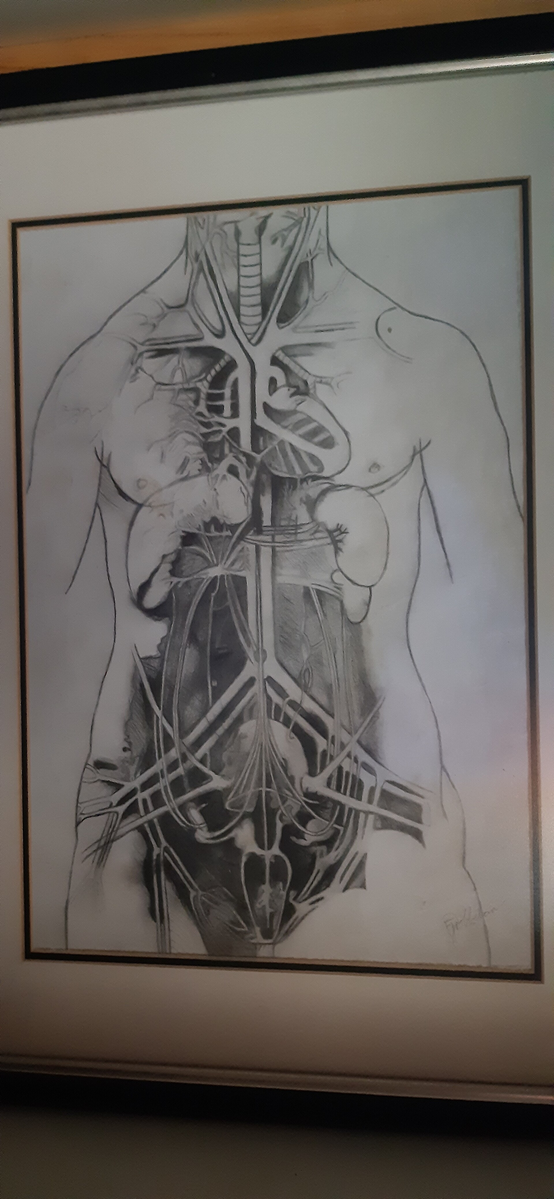 ArtStation - Human Anatomy
