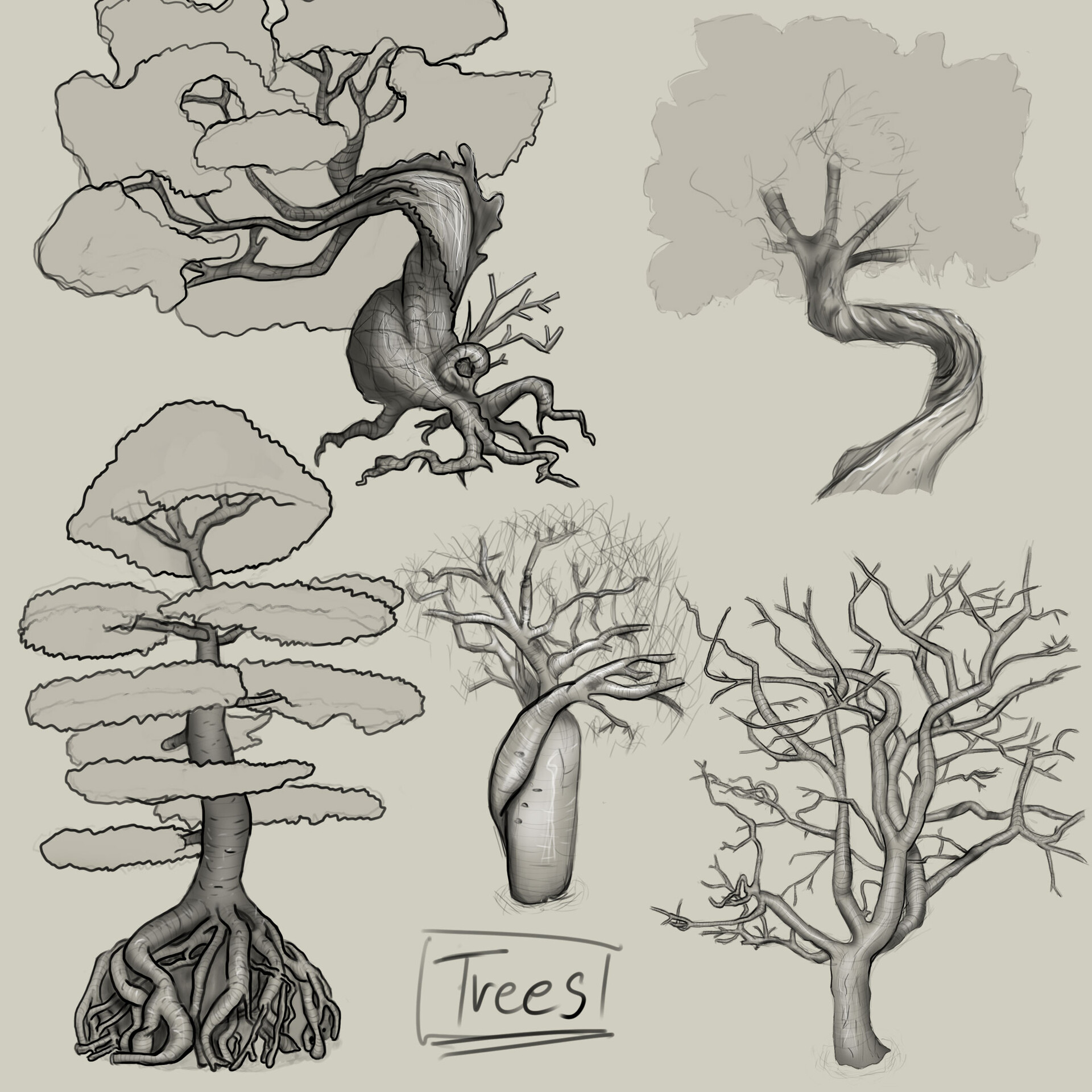 ArtStation - Trees studies