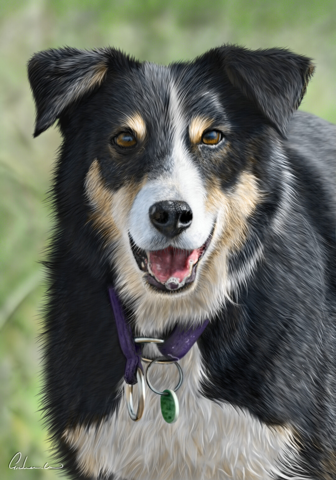 ArtStation - border collie