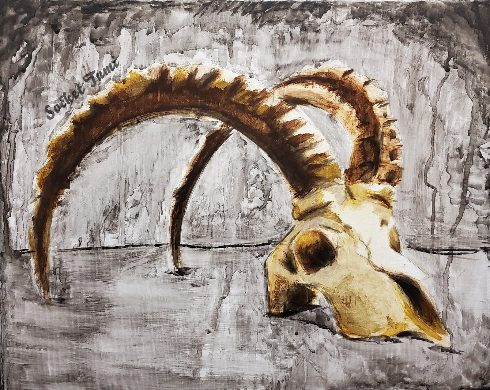 Socket Tumi - Pyrenean Ibex Skull