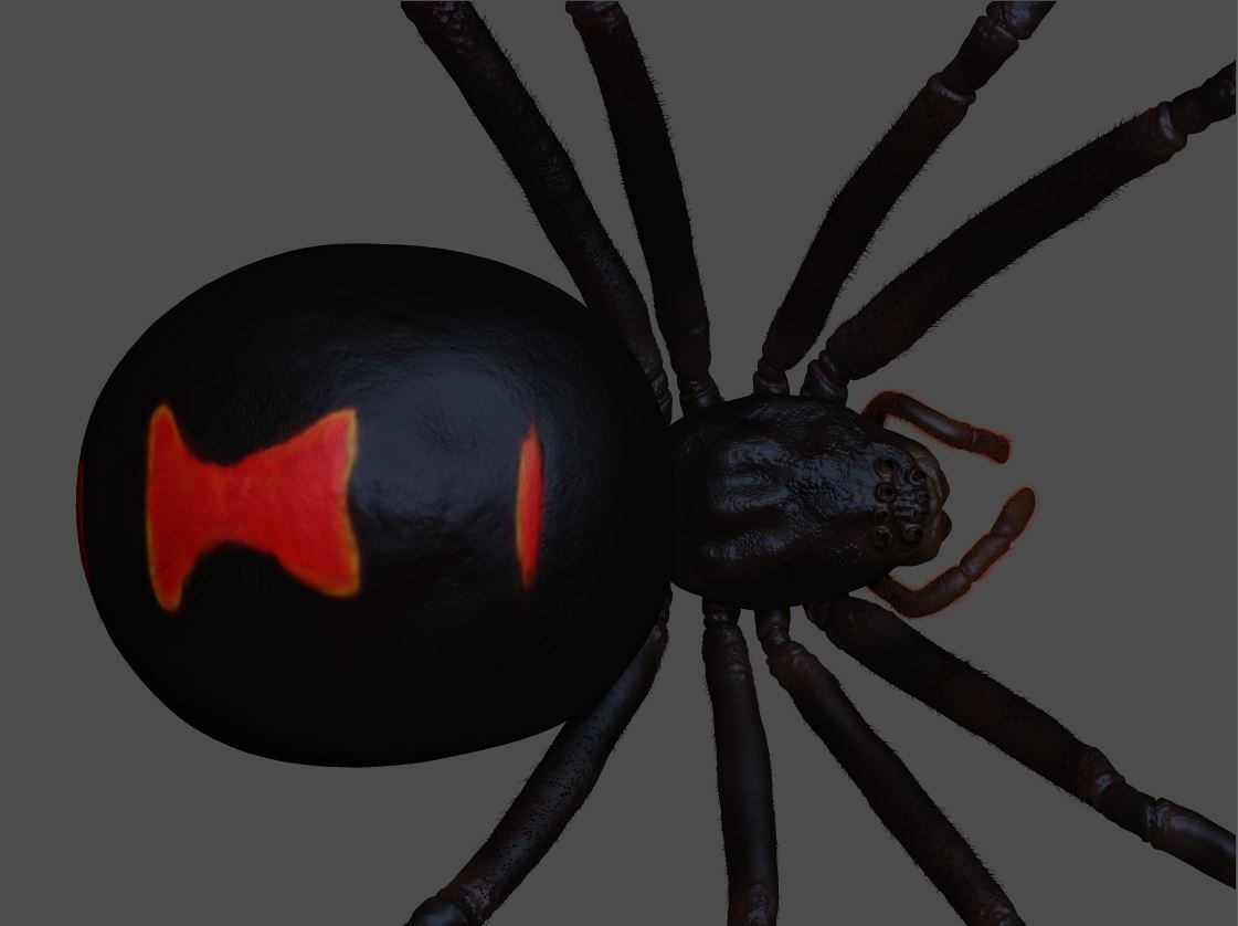 Adam Sargent - Black Widow