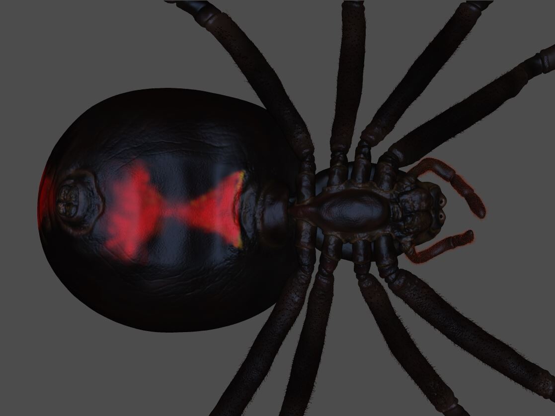 Adam Sargent - Black Widow