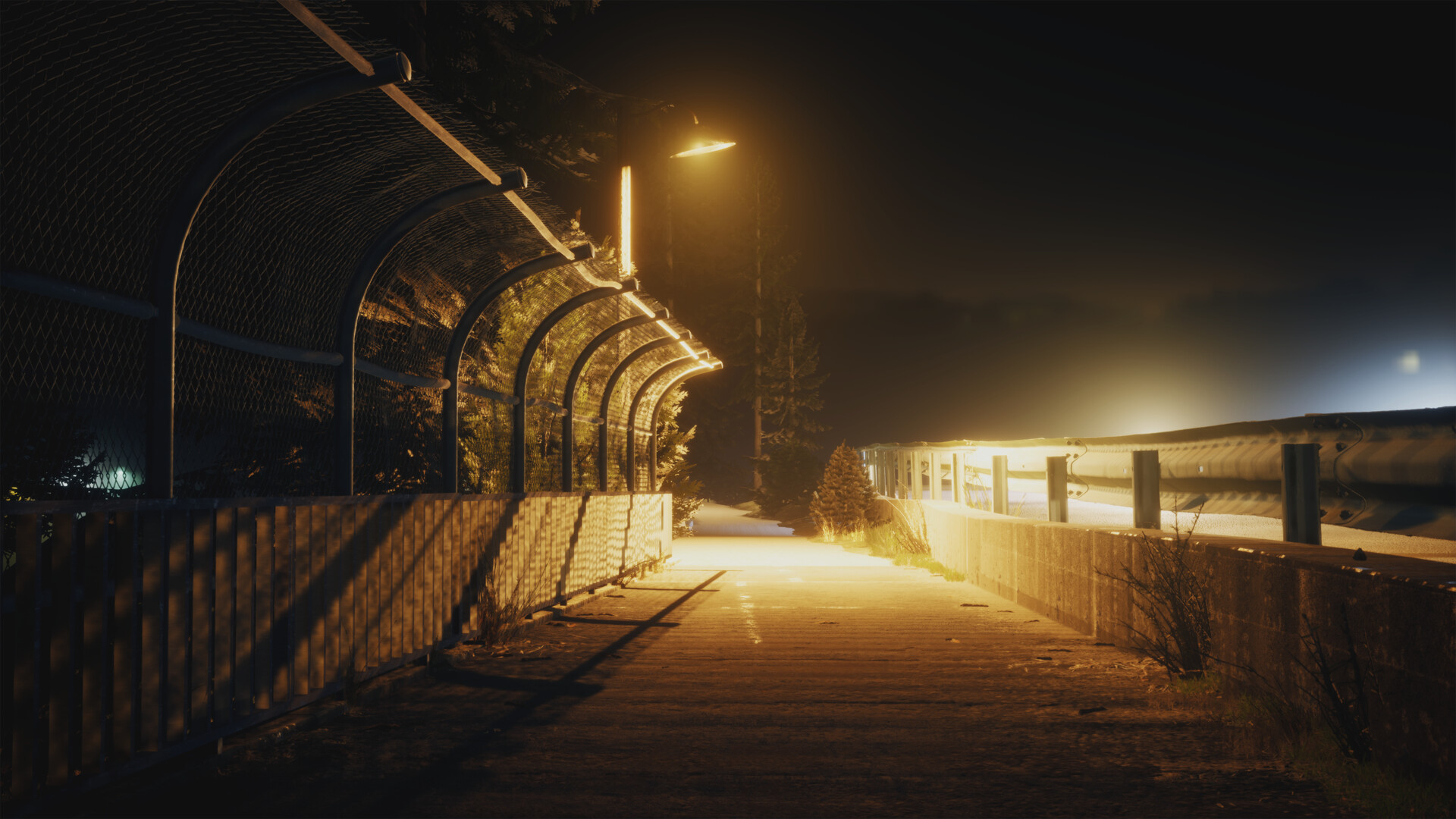 ArtStation - Night walk