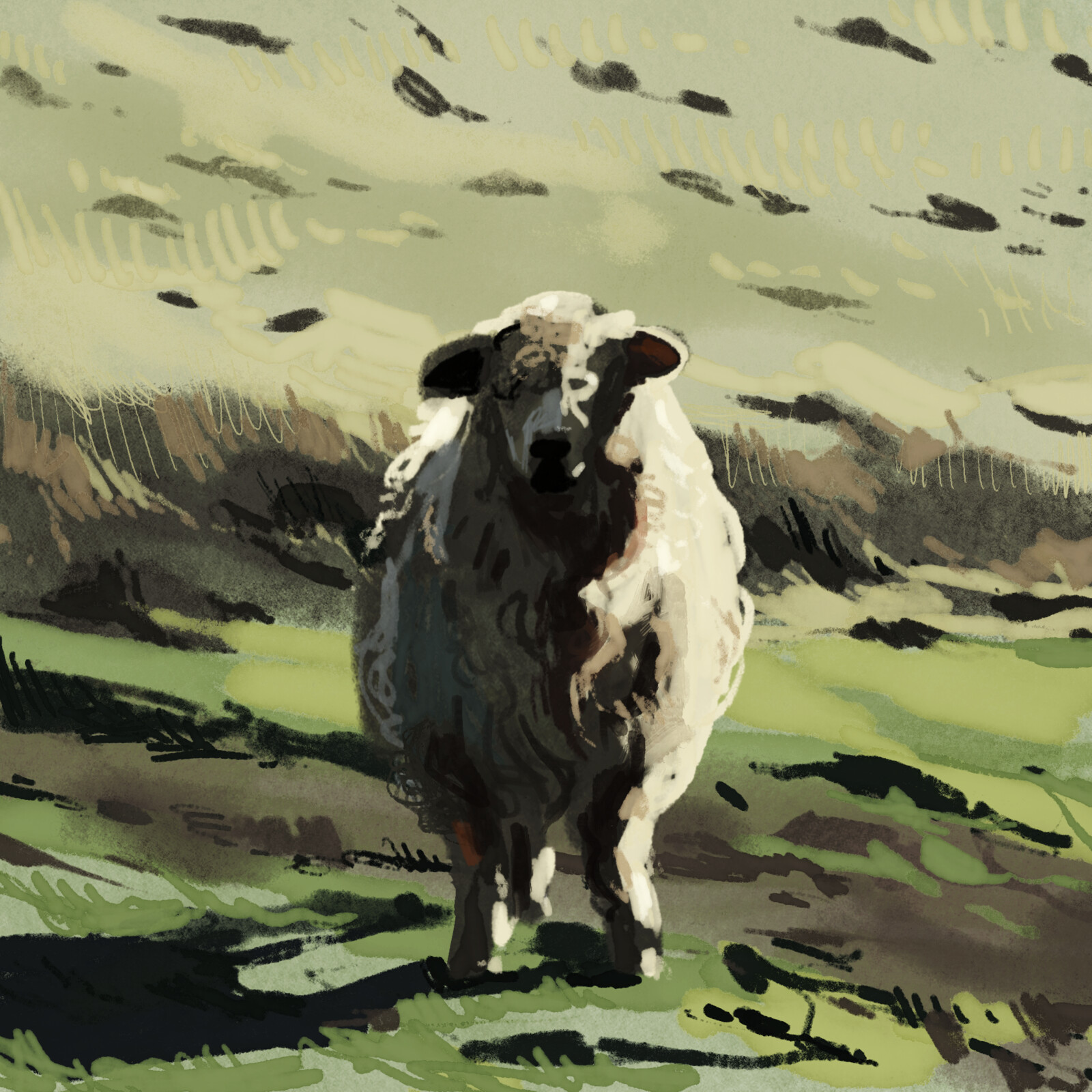 Emily Shilling - 20 Minute Photo Studies