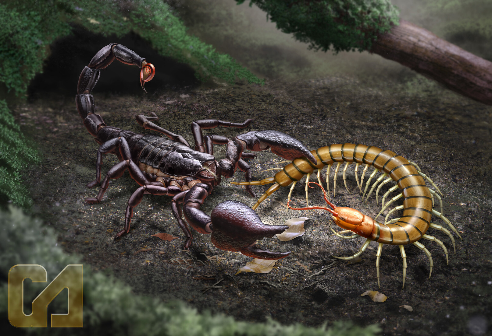 ArtStation - Pandinus Imperator