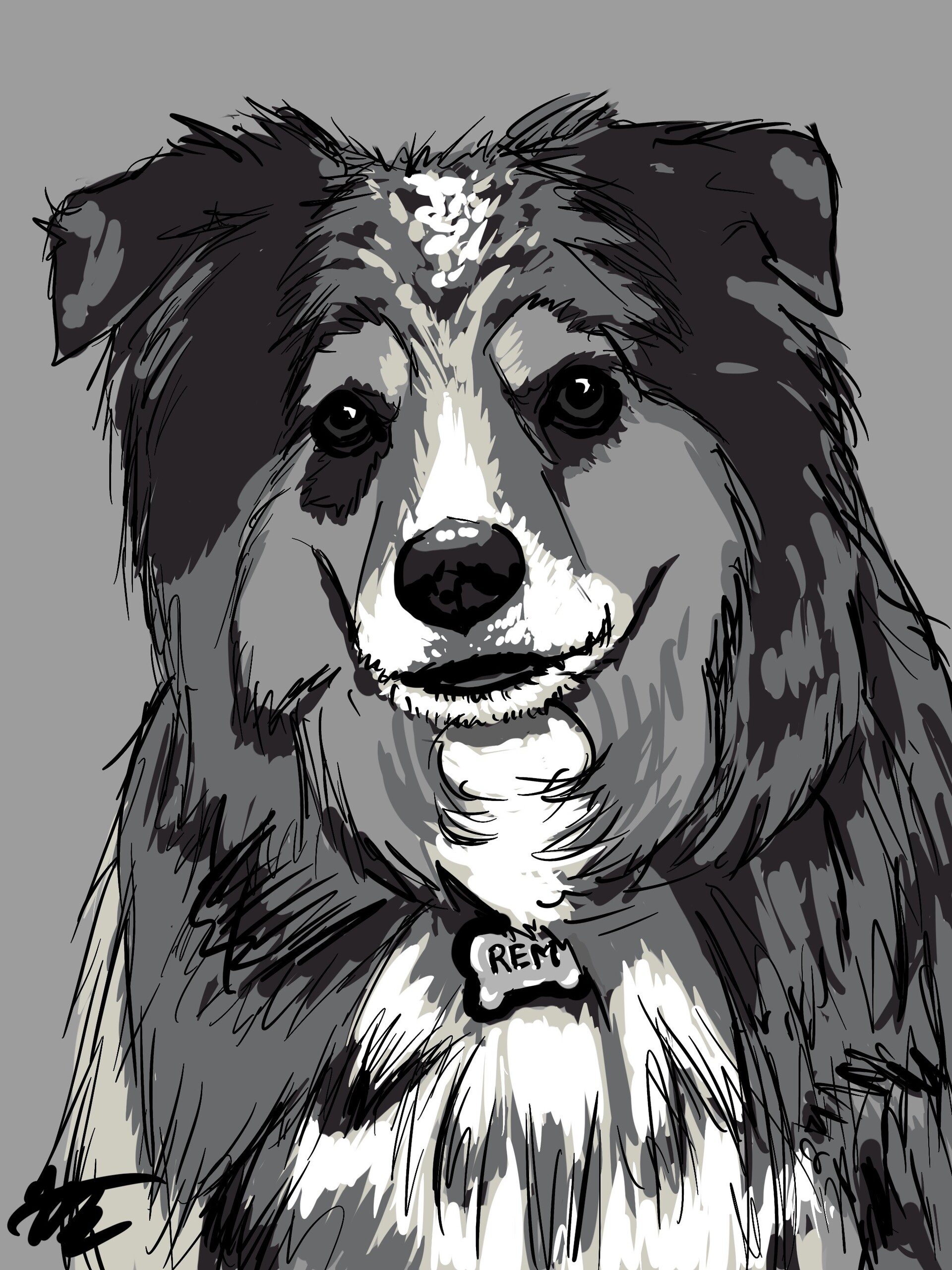ArtStation - Rem, stylized dog portrait