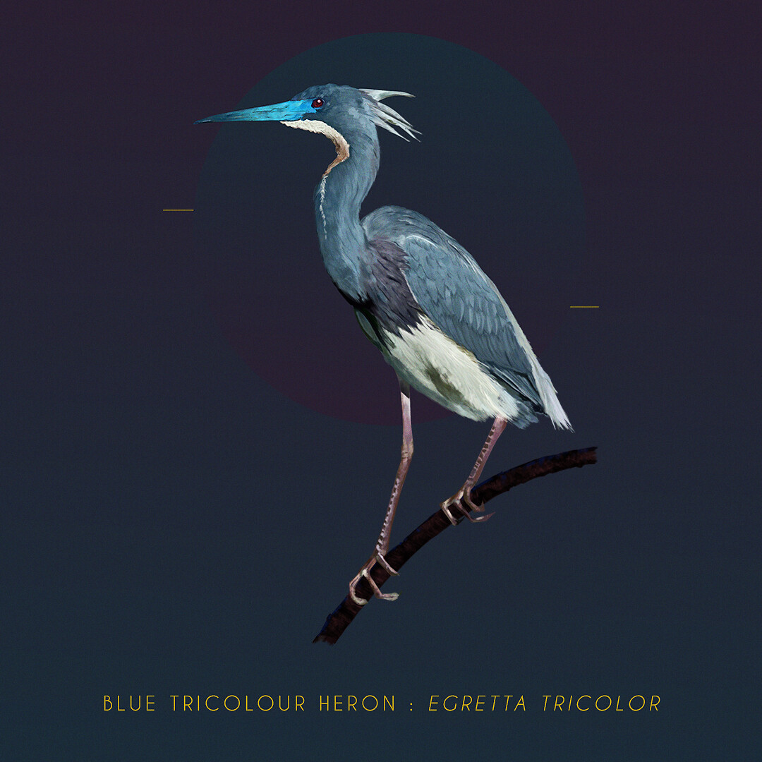 ArtStation - Animal Realistic Portraits