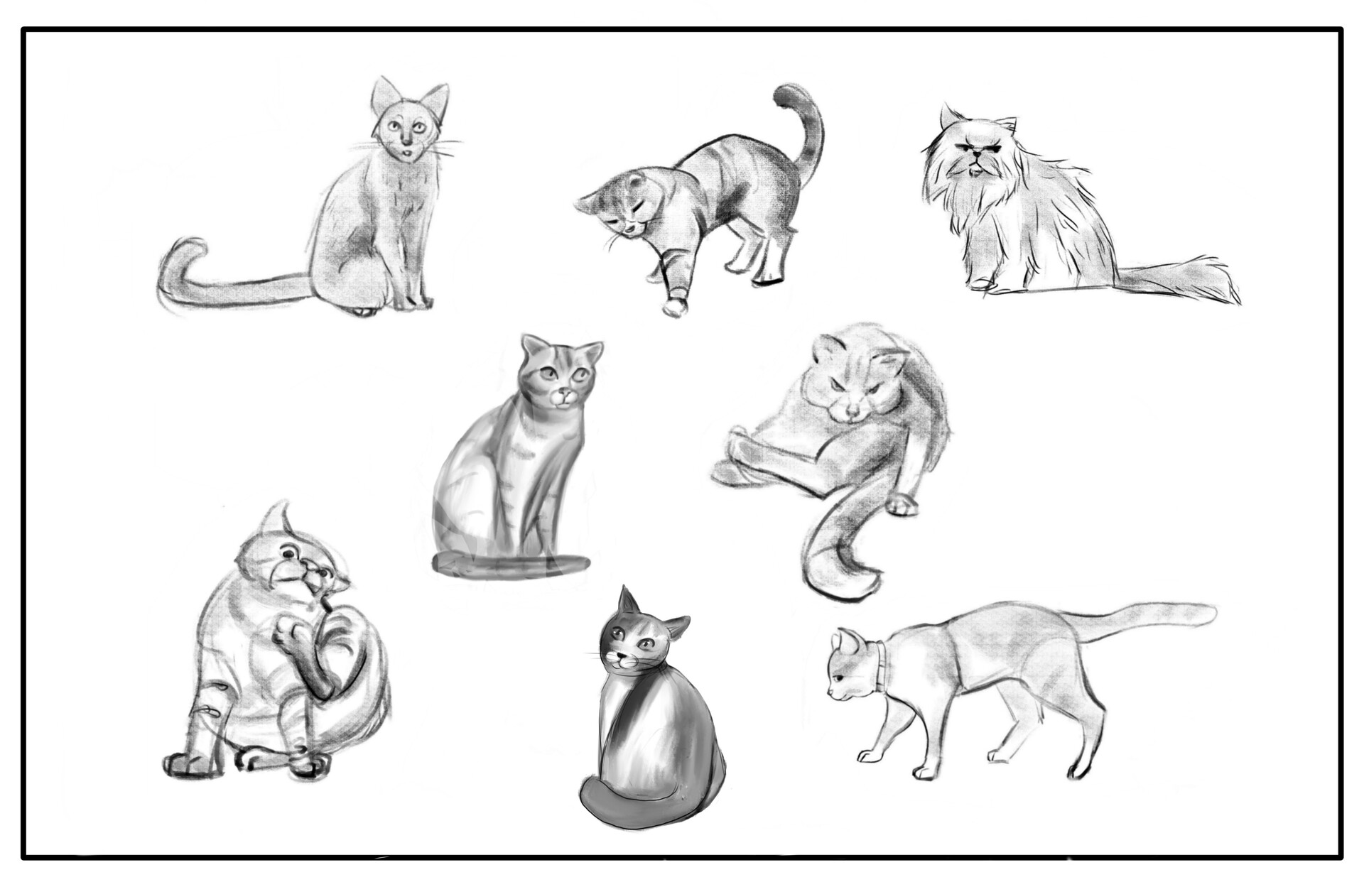 ArtStation - Cat Studies