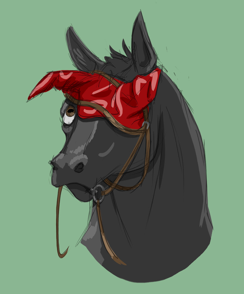 Benjamin Andermatt - Junicorn 2020 (selection)