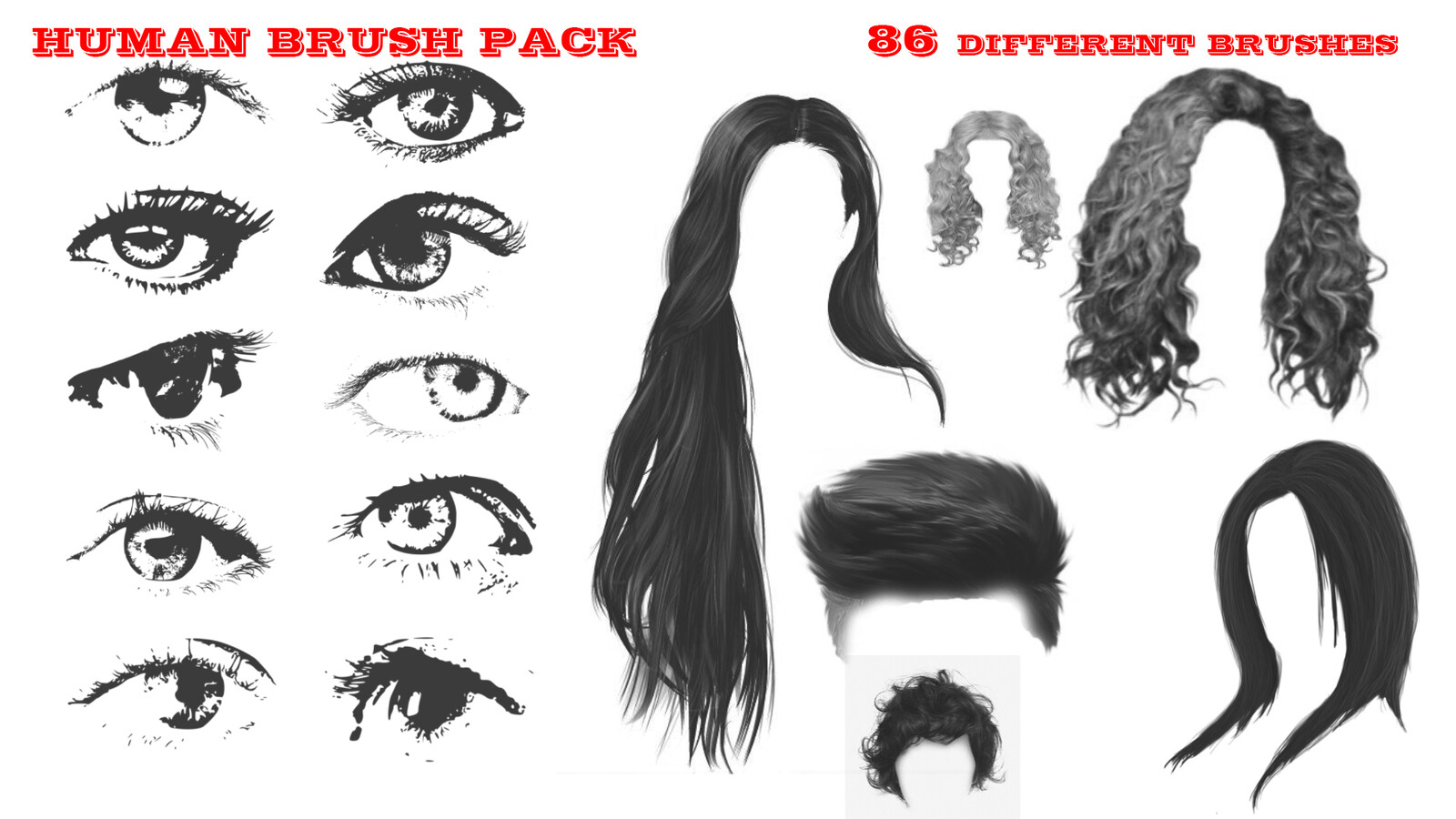 Rokviz Studio - Human Photoshop Brushes