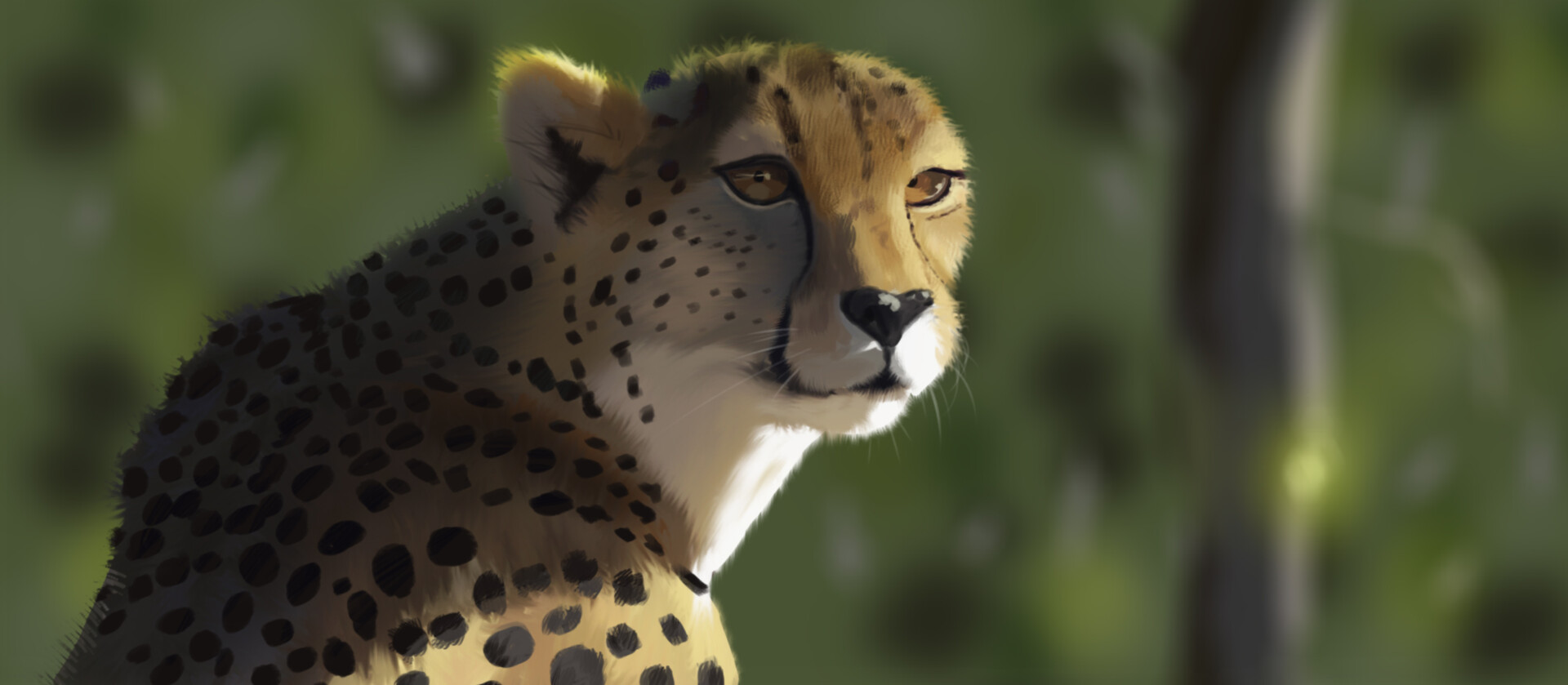 ArtStation - Cheetah