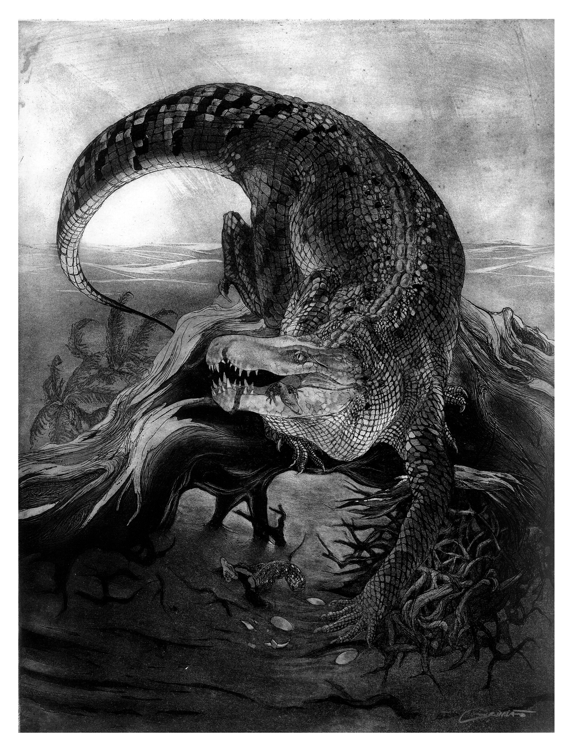 Matheus Grimião - Baurusuchus Salgadoensis