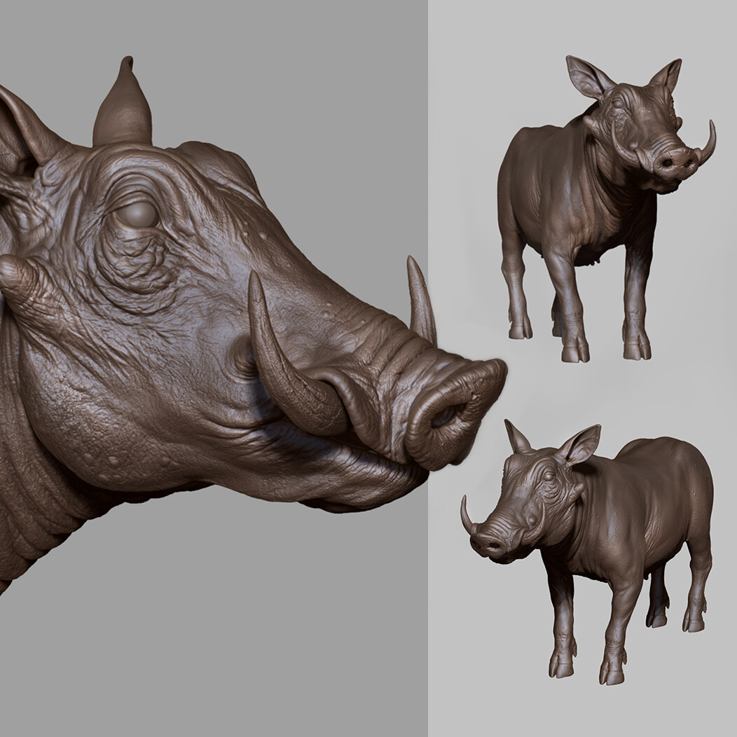 ArtStation - wild boar / pig