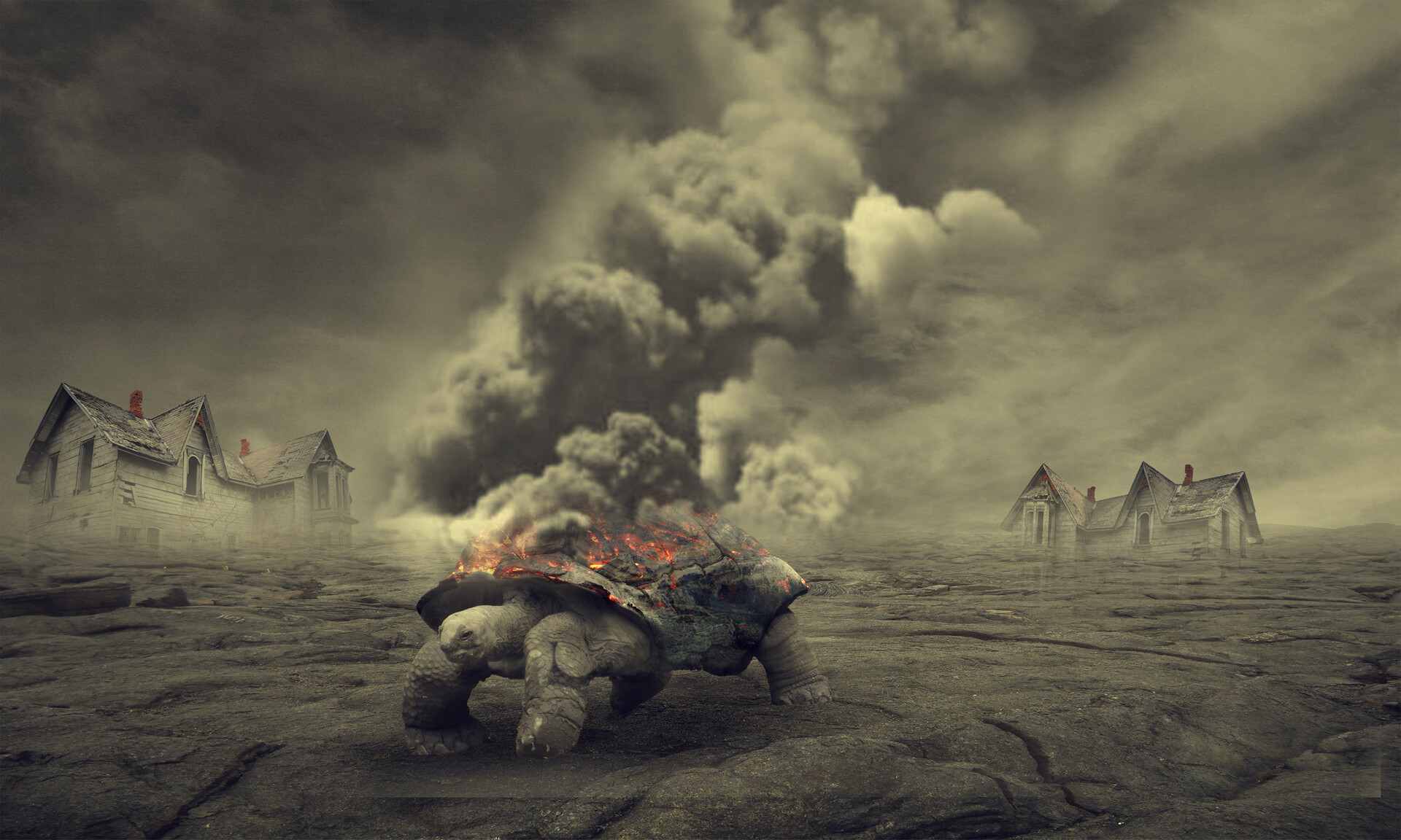 ArtStation - Fire Turtles - Photoshop Surreal Manipulation
