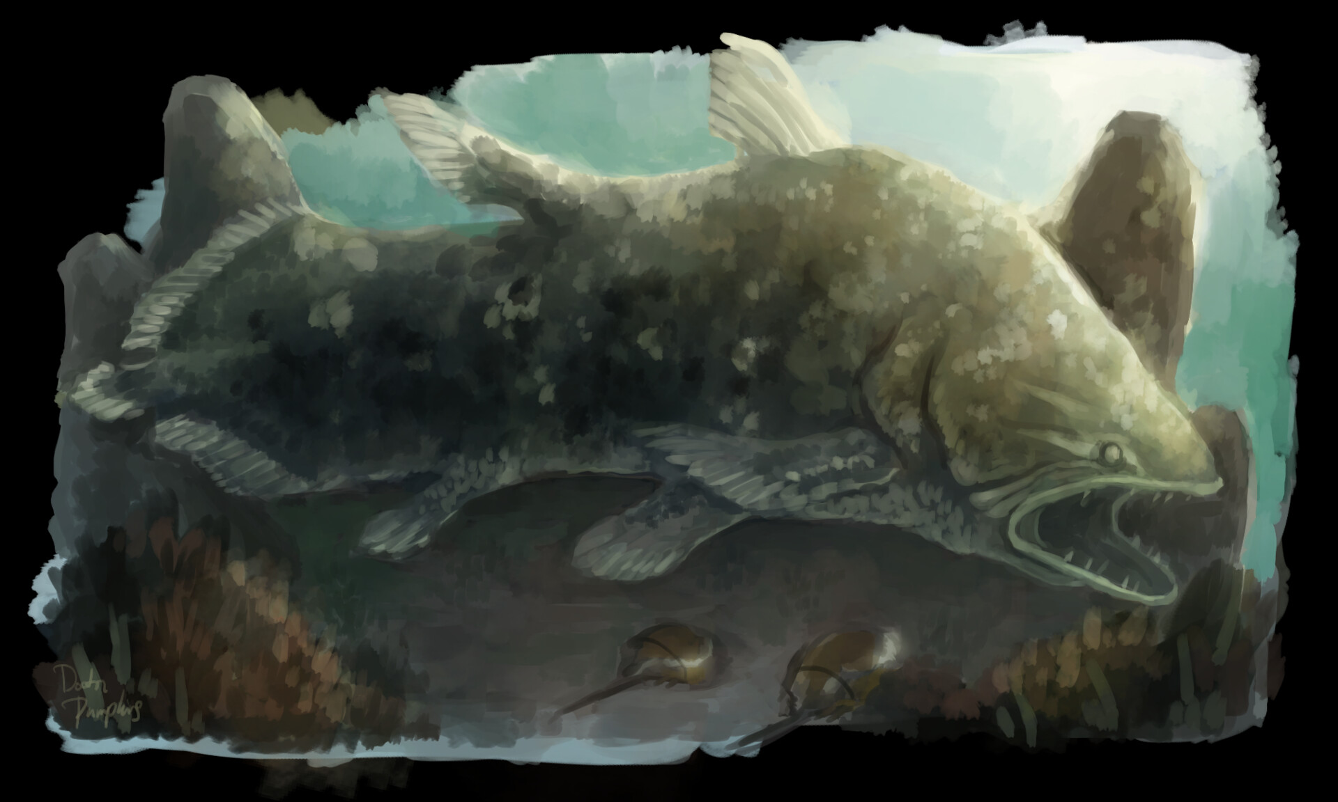 Jack Reniers - Sea creatures