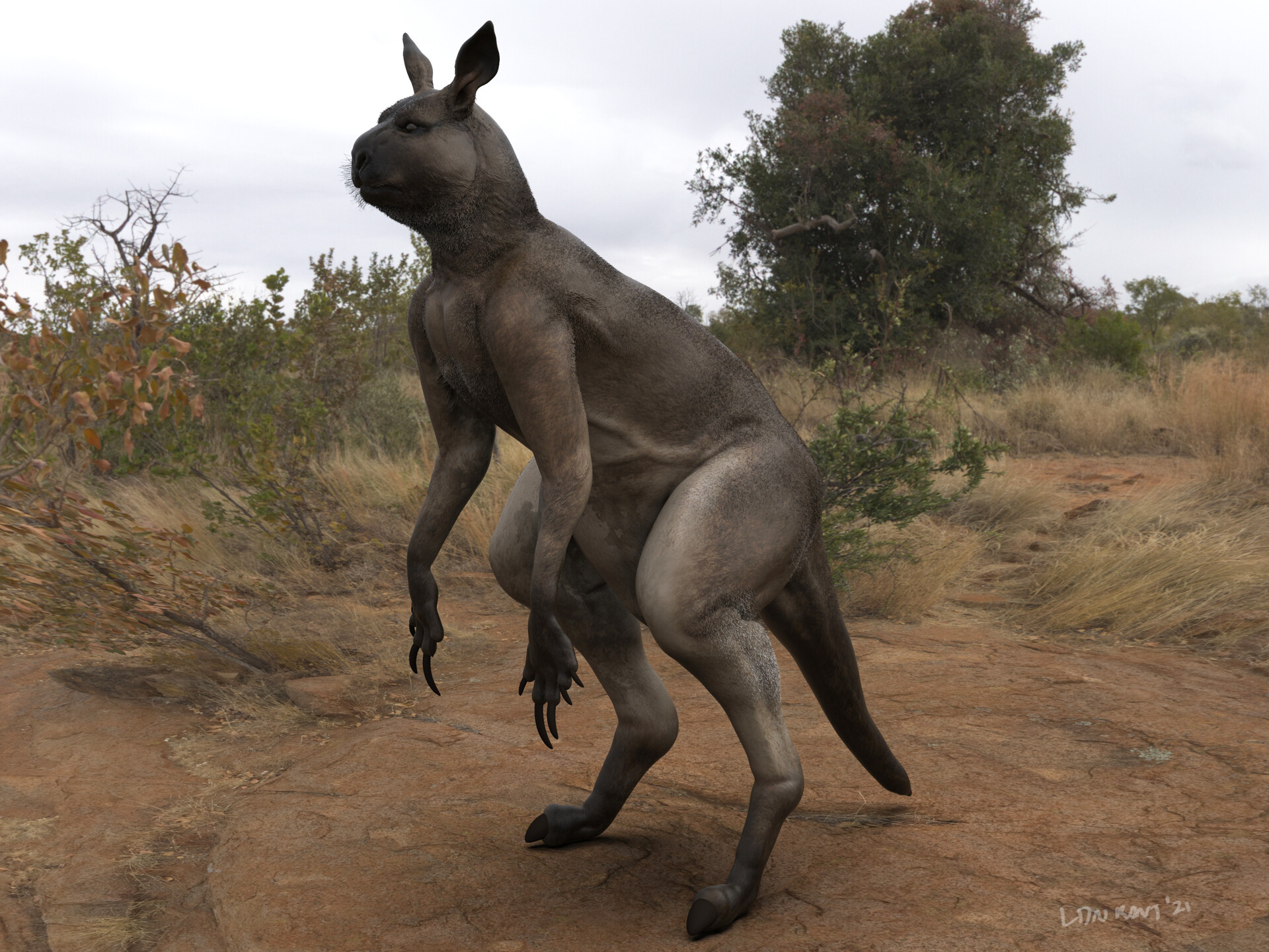 procoptodon goliah size