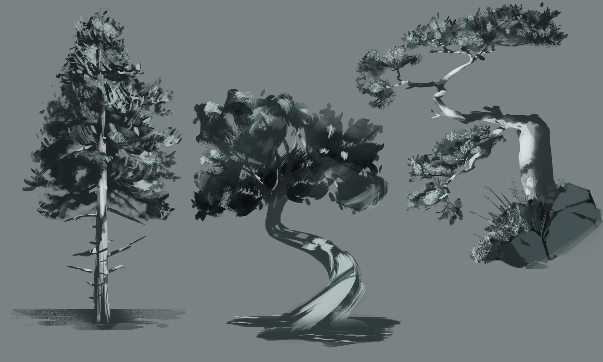 ArtStation - Tree Sketches