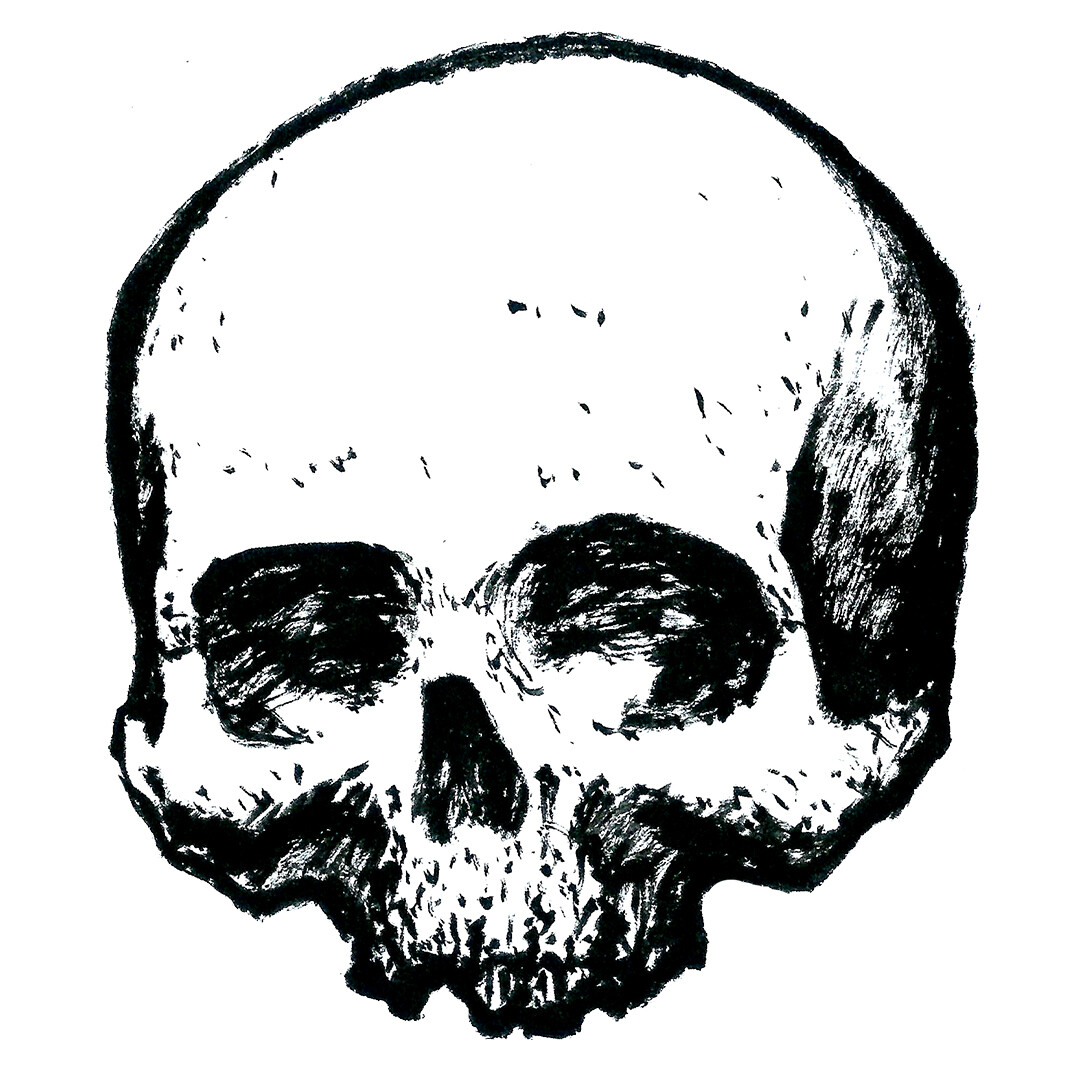 ArtStation - Skull Sketch