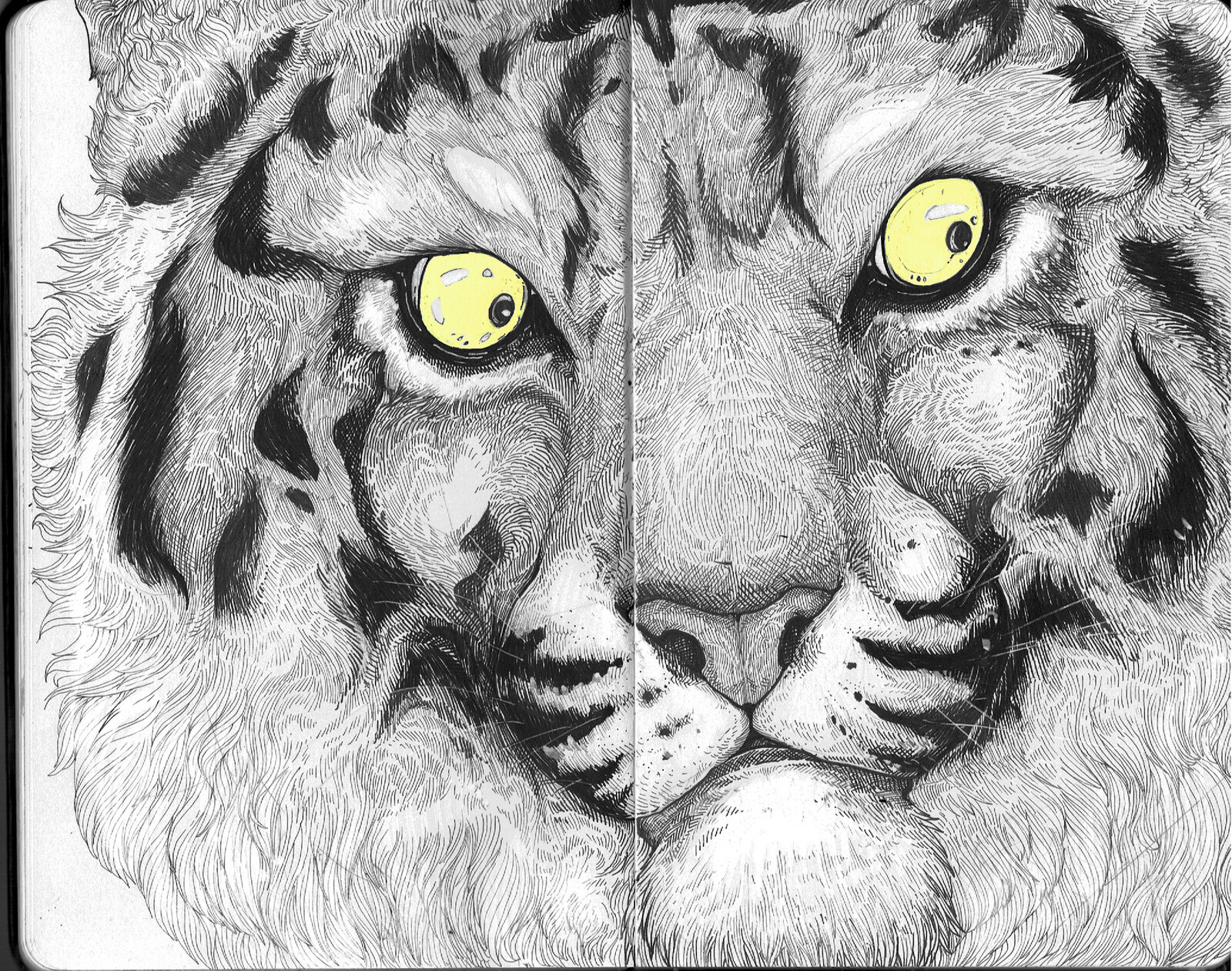 Candace Breakell - tiger practice