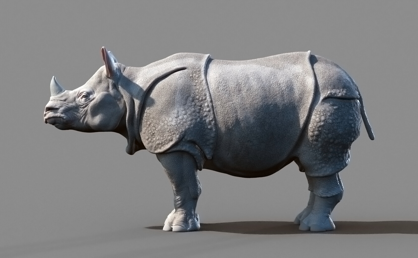 ArtStation - Asian Rhino