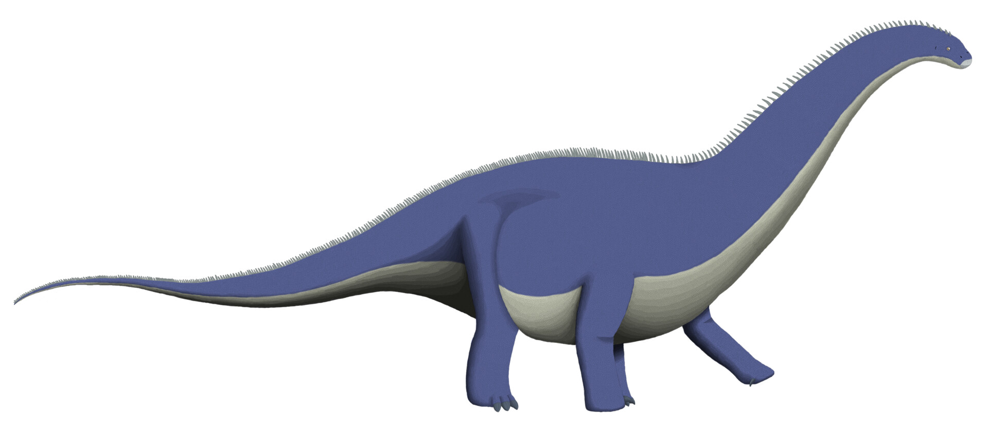 ArtStation - Apatosaurus louisae