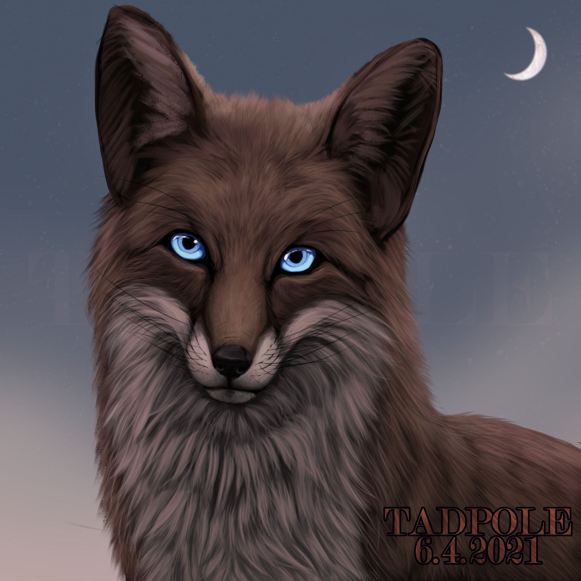 ArtStation - fox on the night sky