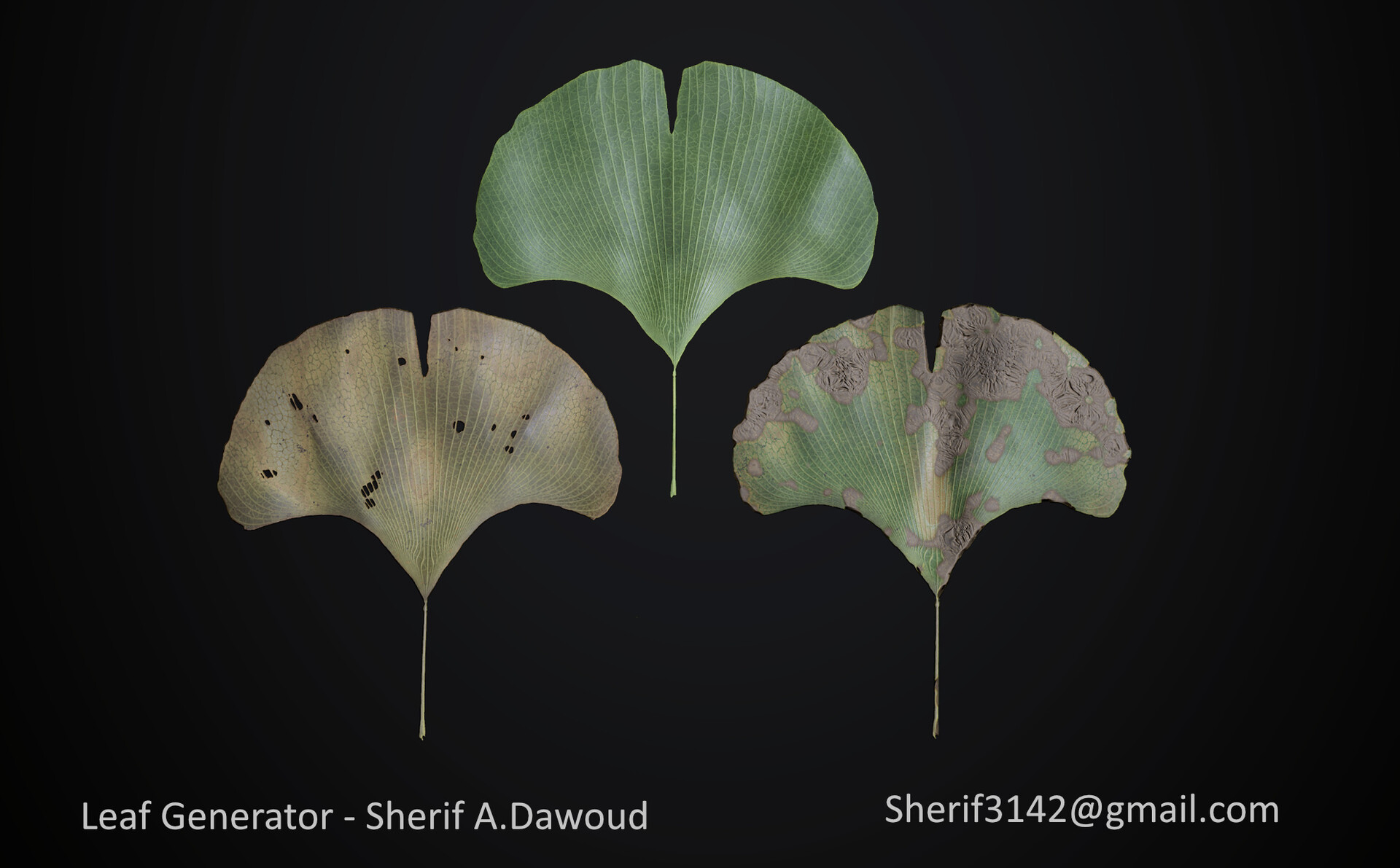 Sherif Dawoud | 3D Game Artist - Leaf/Foliage Generator - Substance ...