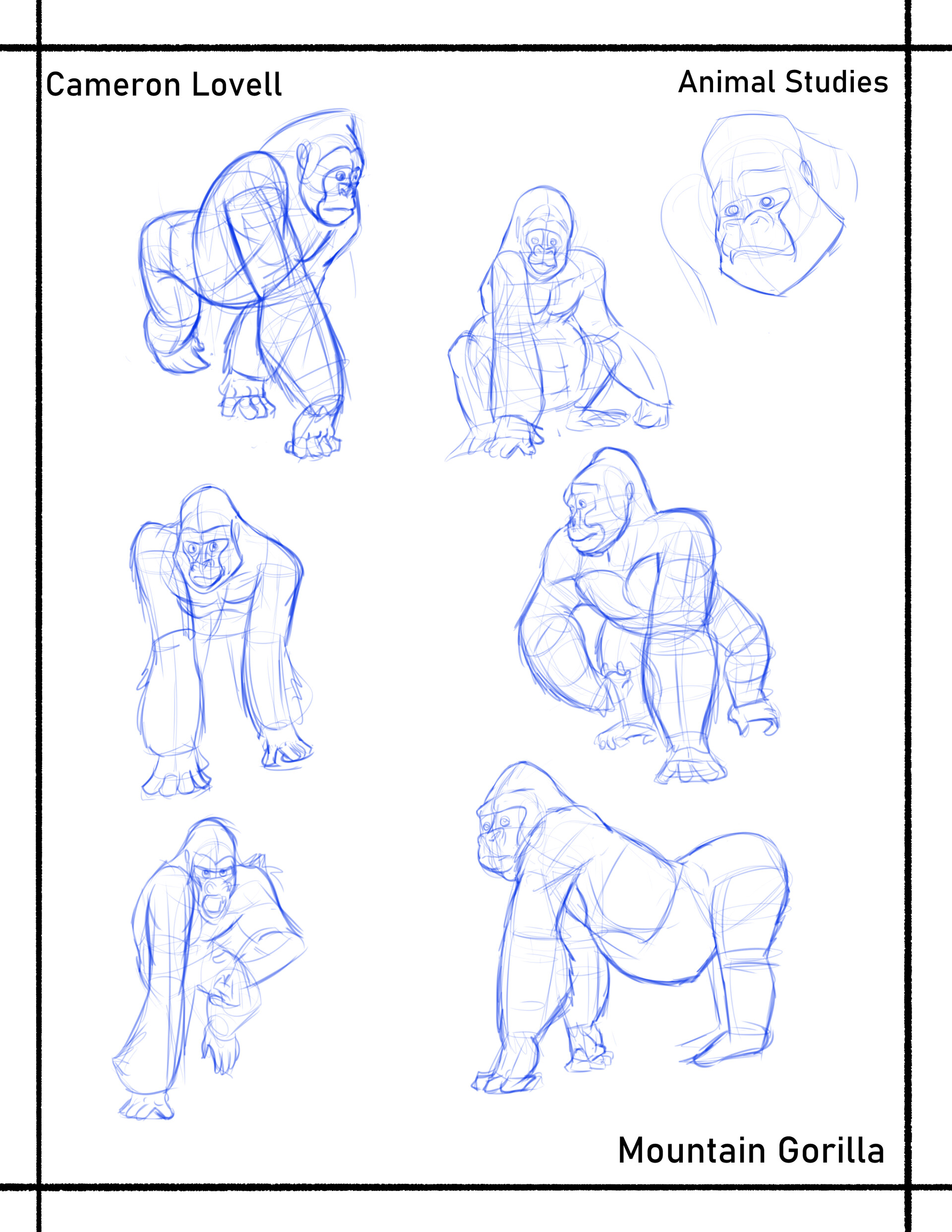 ArtStation - Animal Studies 2020