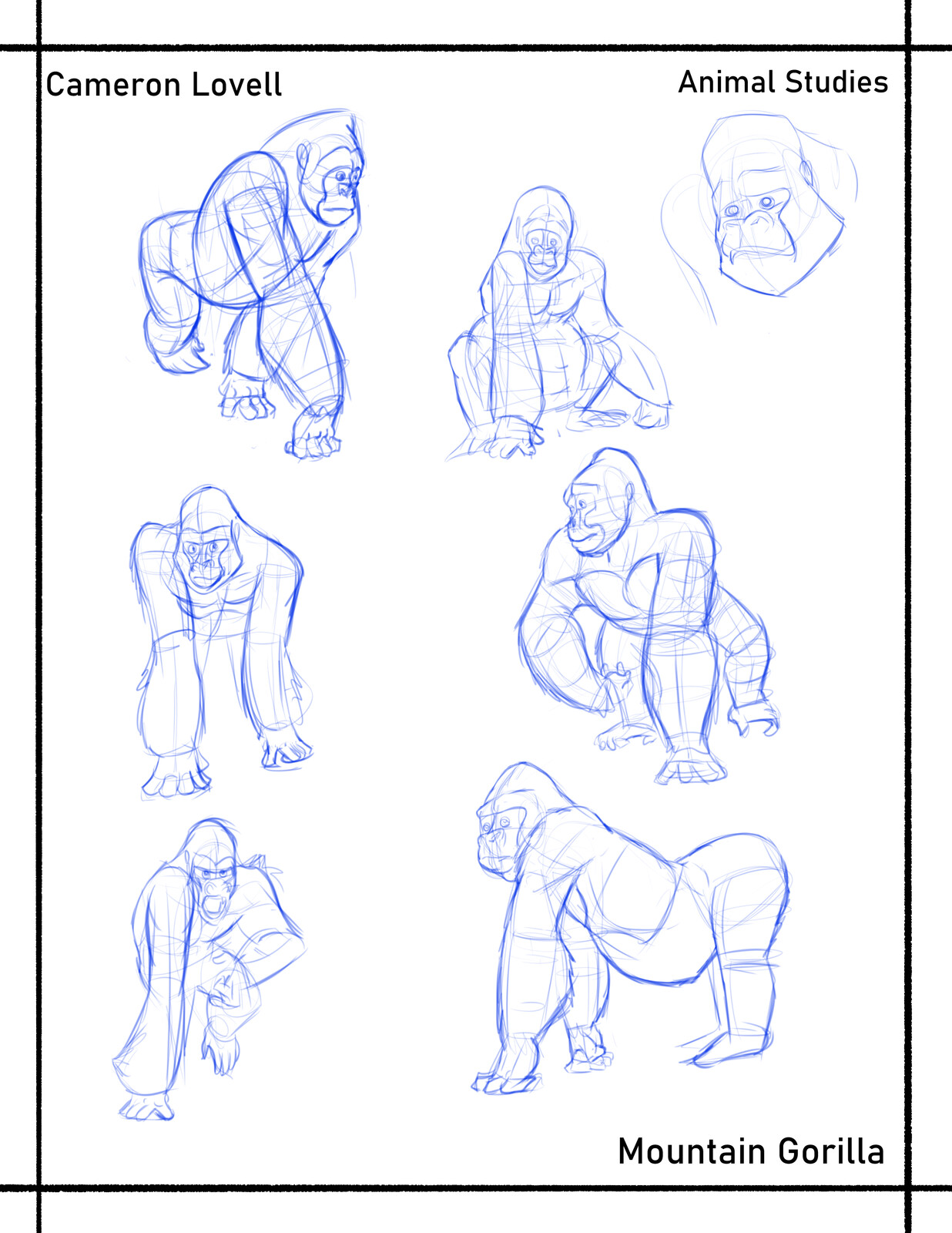 Cameron Lovell - Animal Studies 2020