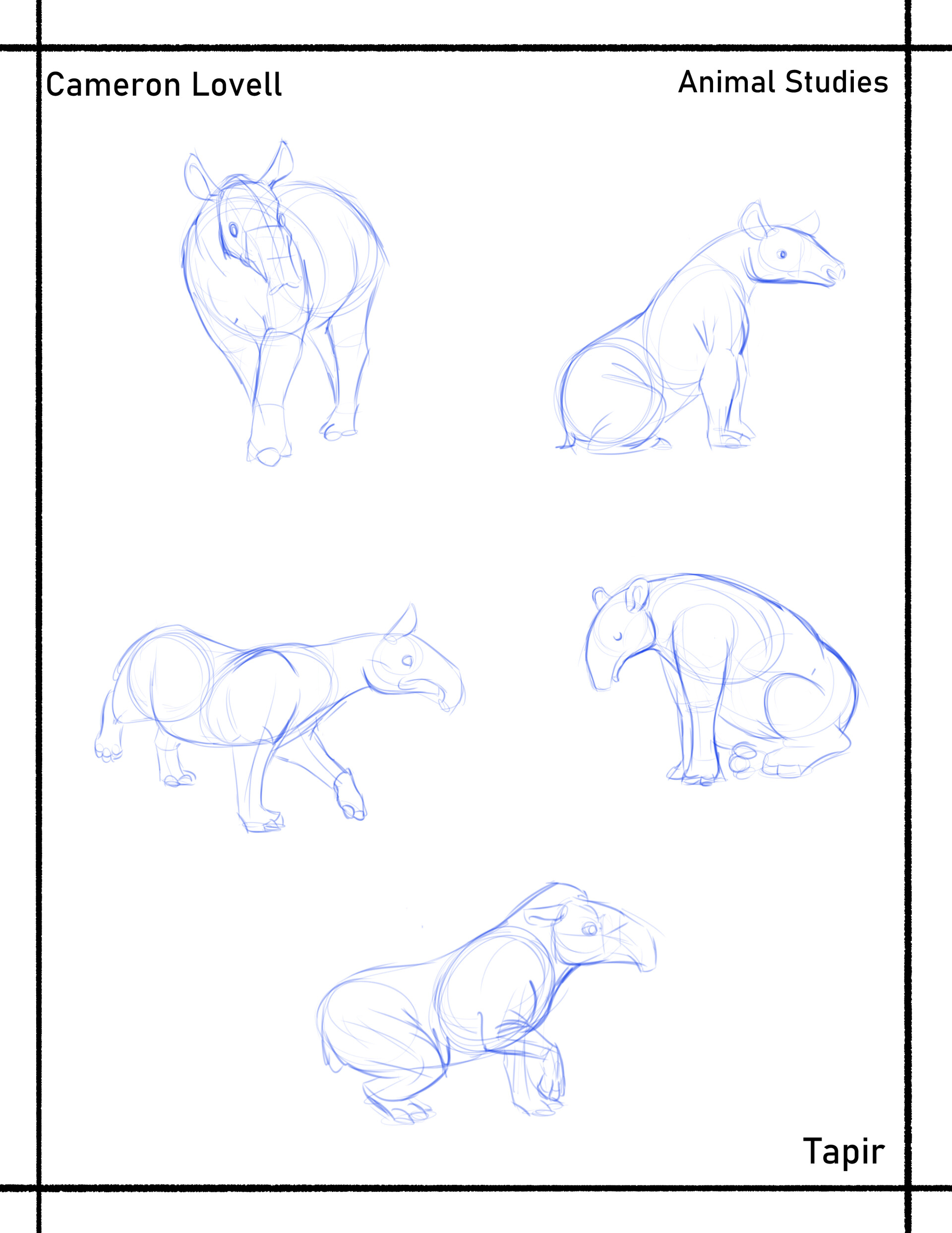 Cameron Lovell - Animal Studies 2020