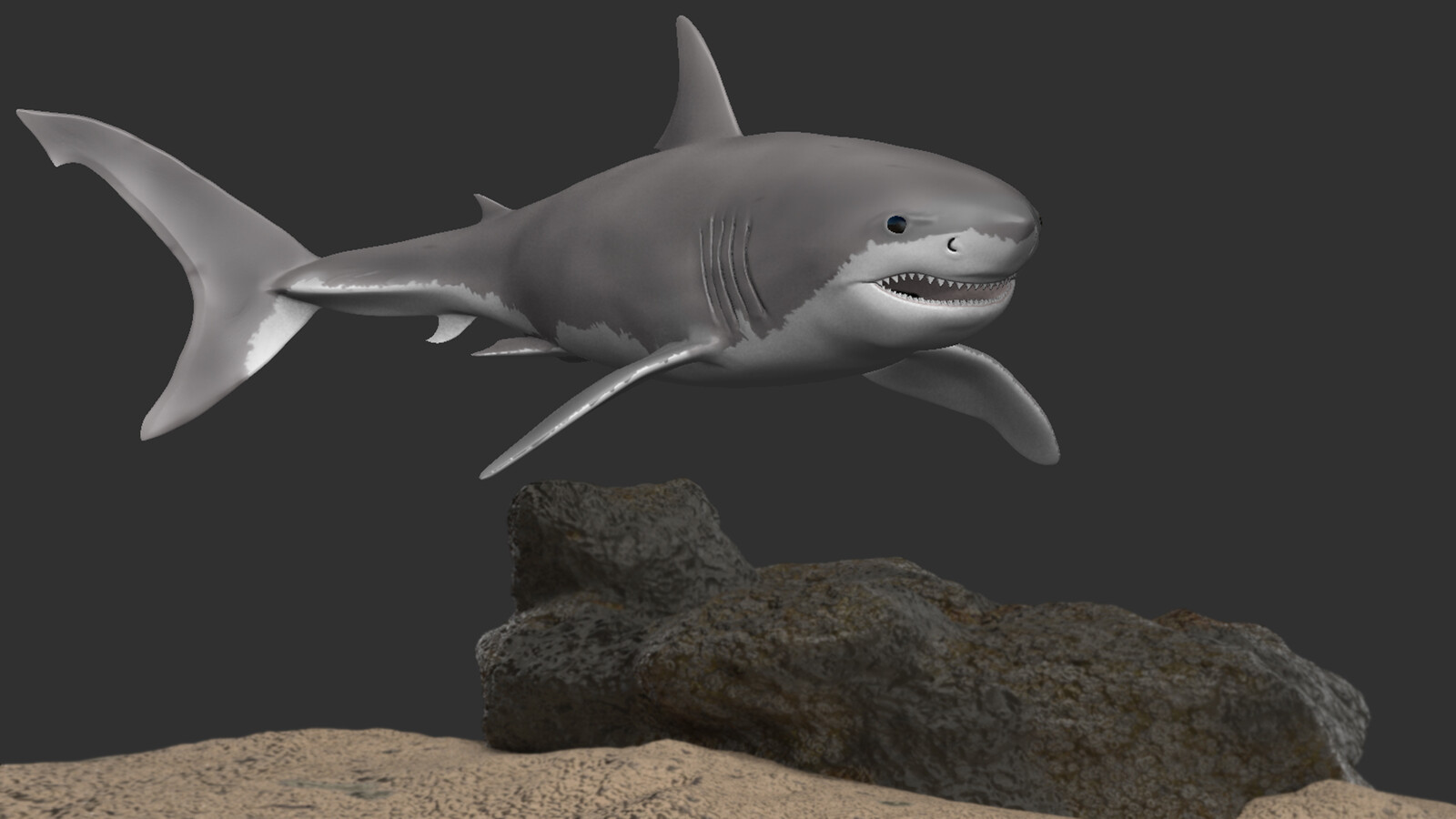 Kyle Andrus - Portfolio