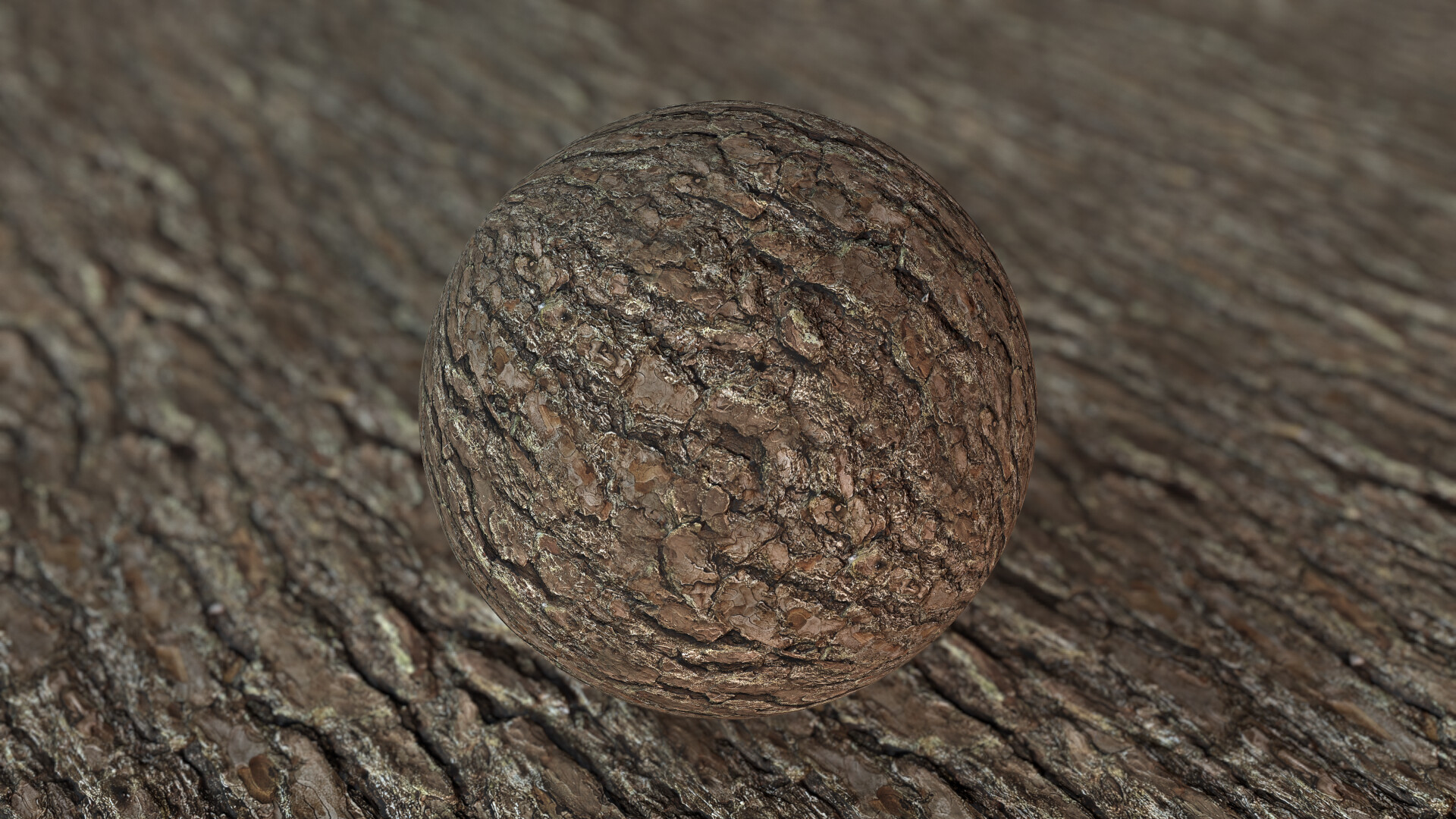 ArtStation - Pine Bark 01 Photogrammetry Texture