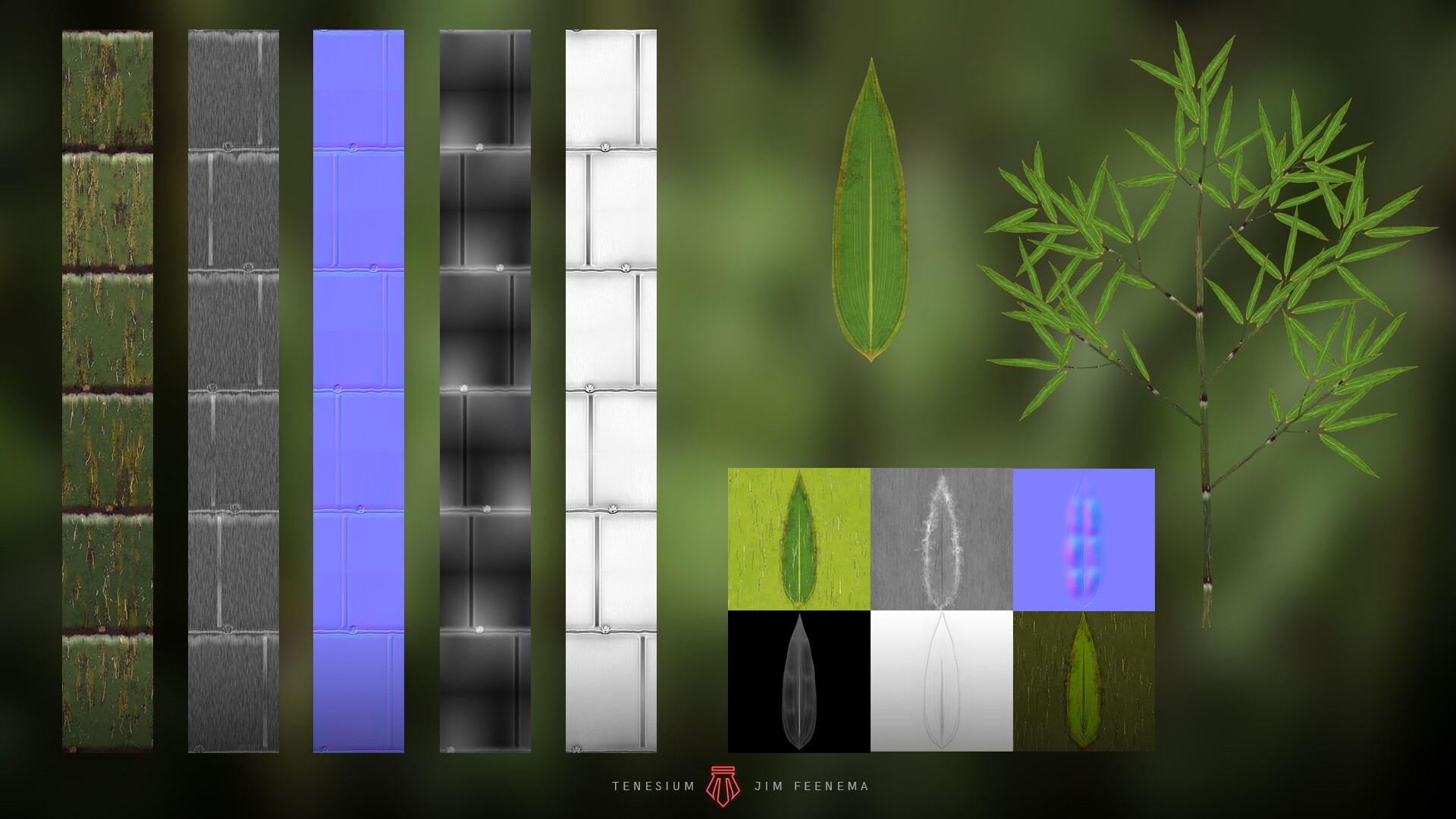 Jim Feenema - Generic Bamboo Assets | Game Ready & High Poly (+ Material)