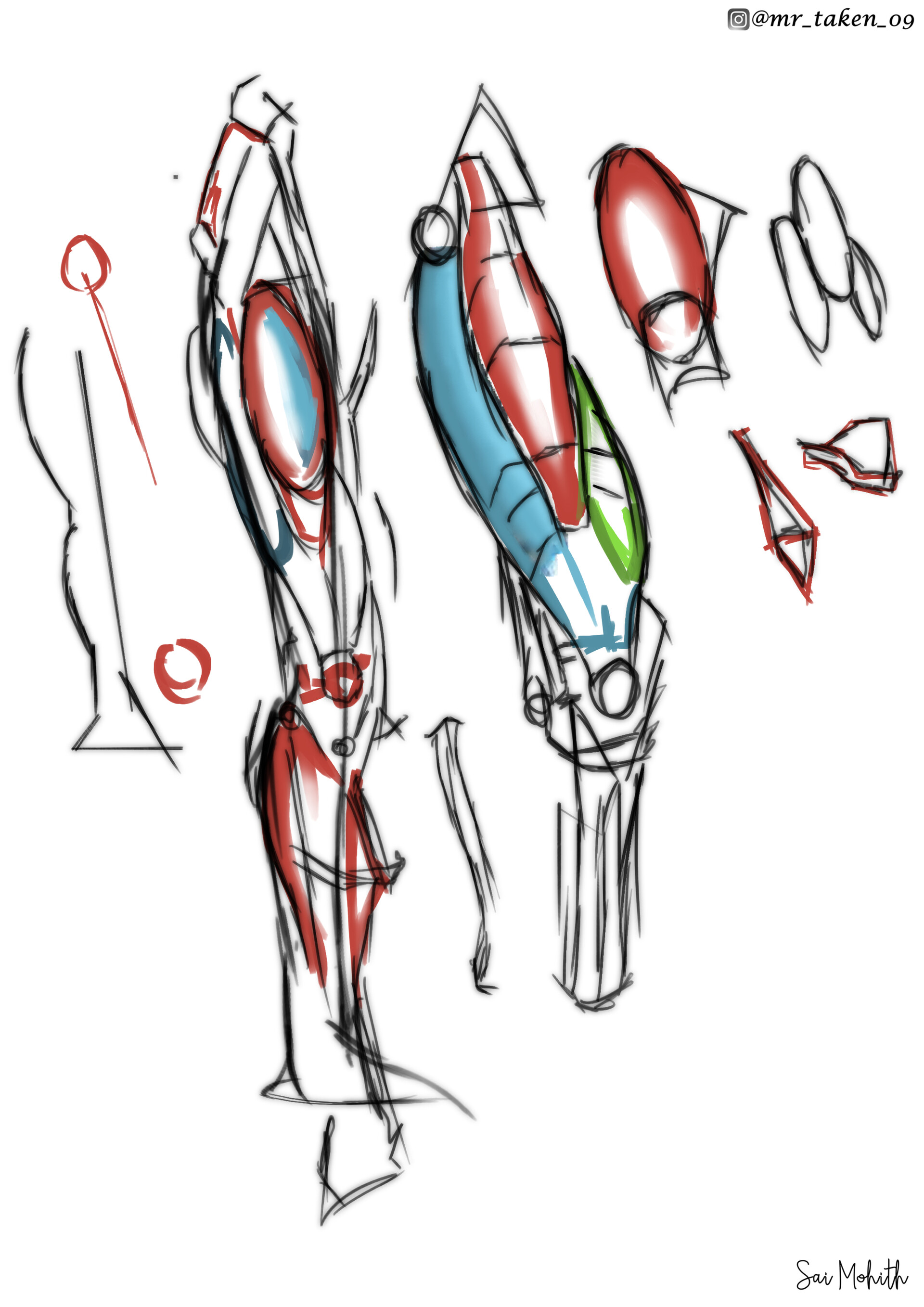 ArtStation - Muscle Anatomy