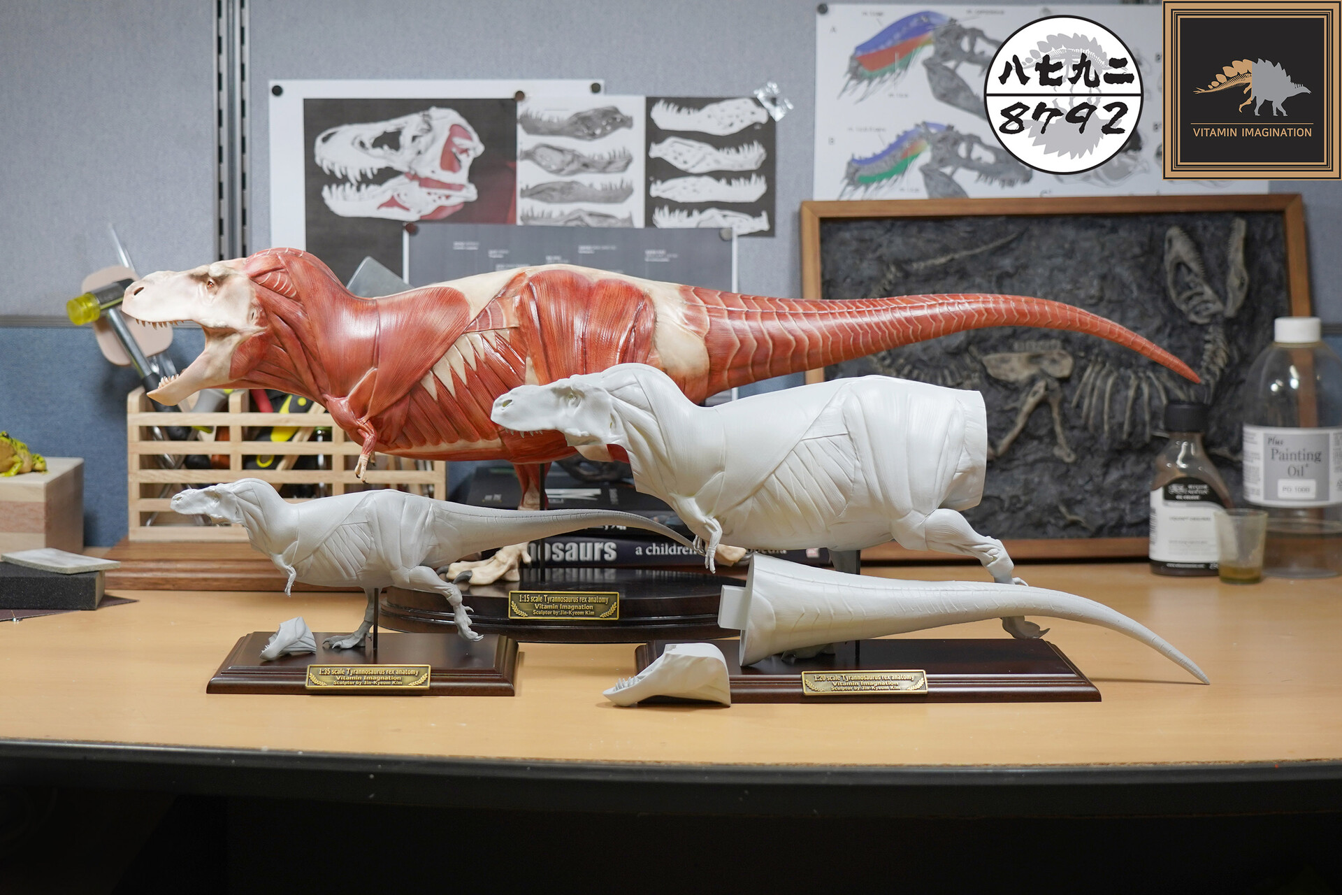 Vitamin Imagination - Tyrannosaurus rex Anatomy model completed