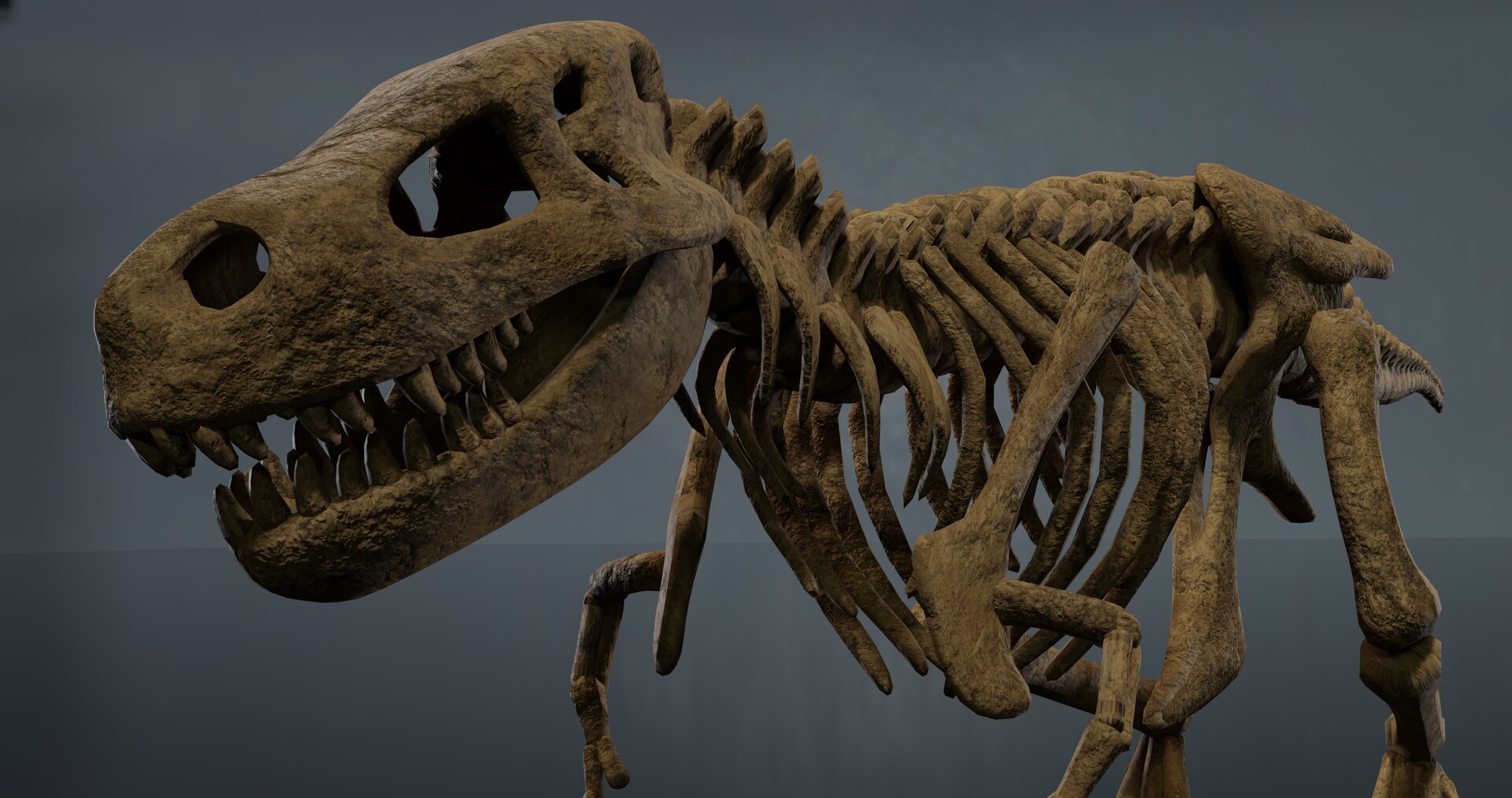 ArtStation - T-Rex Skeleton